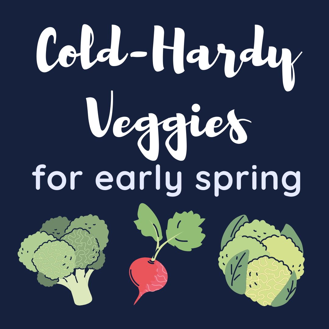 10 Best Vegetables to Plant in Early Spring - Dengarden