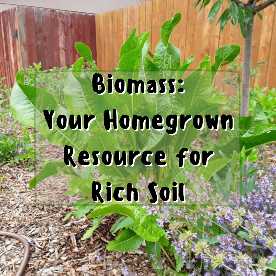 Biomass: Your Homegrown Resource for Rich Soil - Dengarden