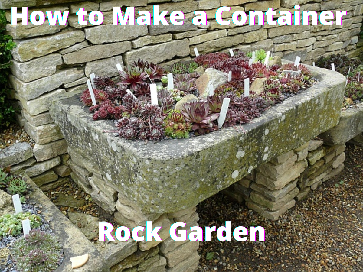 Stone Garden In Containers Container Gardening Ideas For Beginners