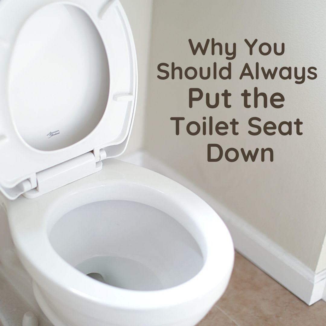6 Reasons to Put the Toilet Lid Down - Dengarden