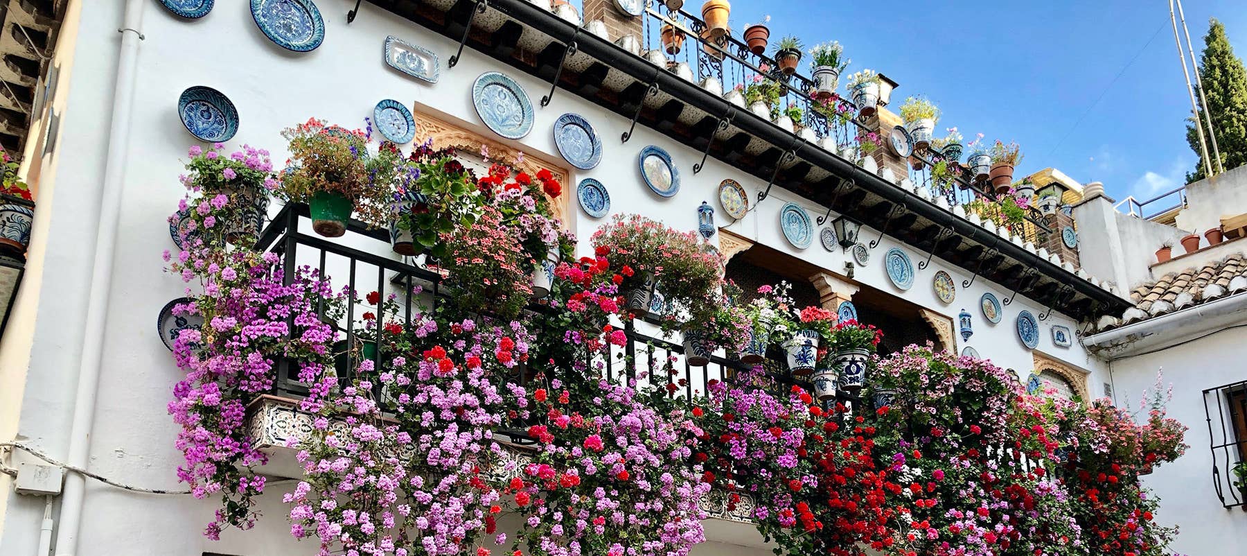 How to Grow a Hanging Garden From Your Balcony Railing - Dengarden
