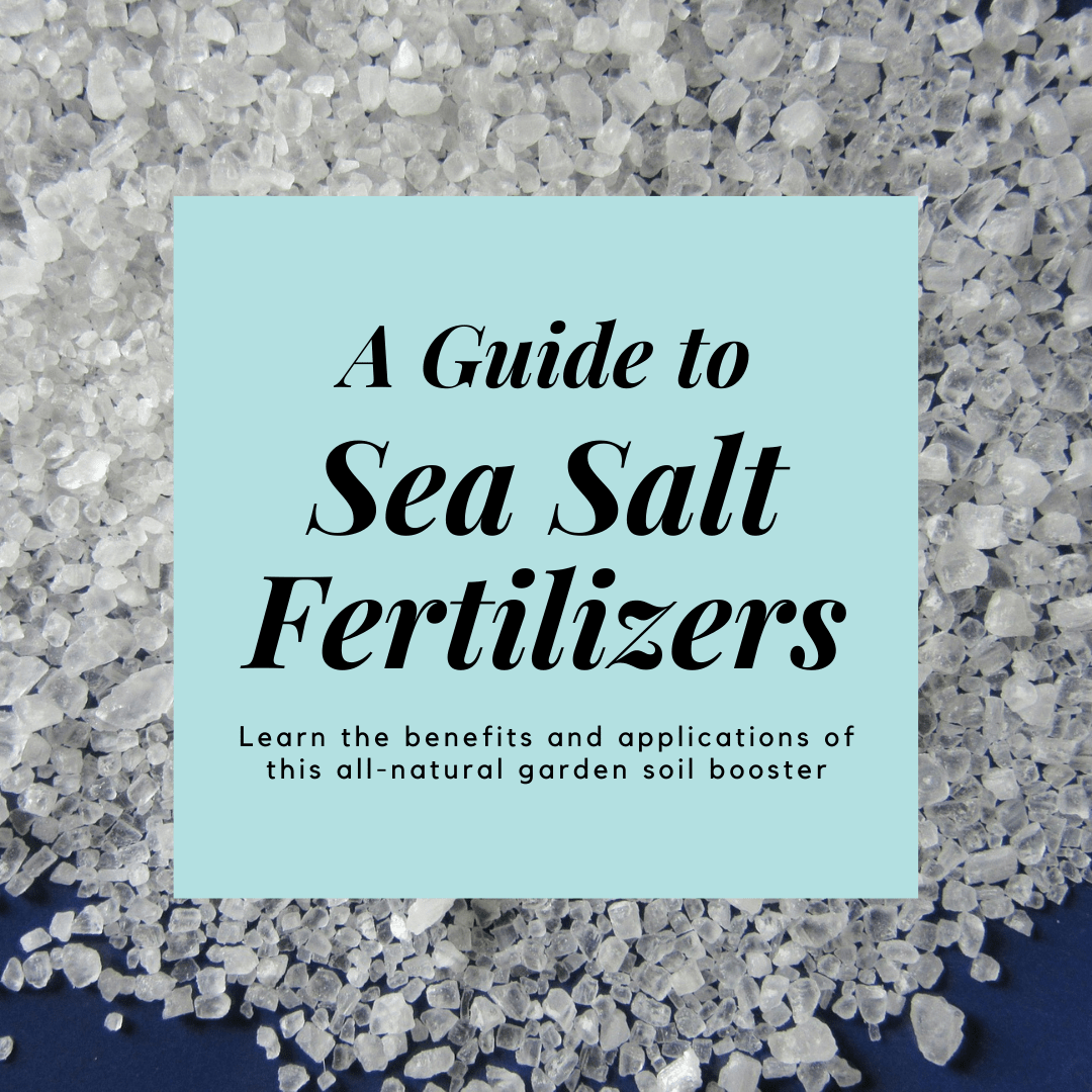 Sea Salt Fertilizers: An Important Organic Gardening Discovery - Dengarden