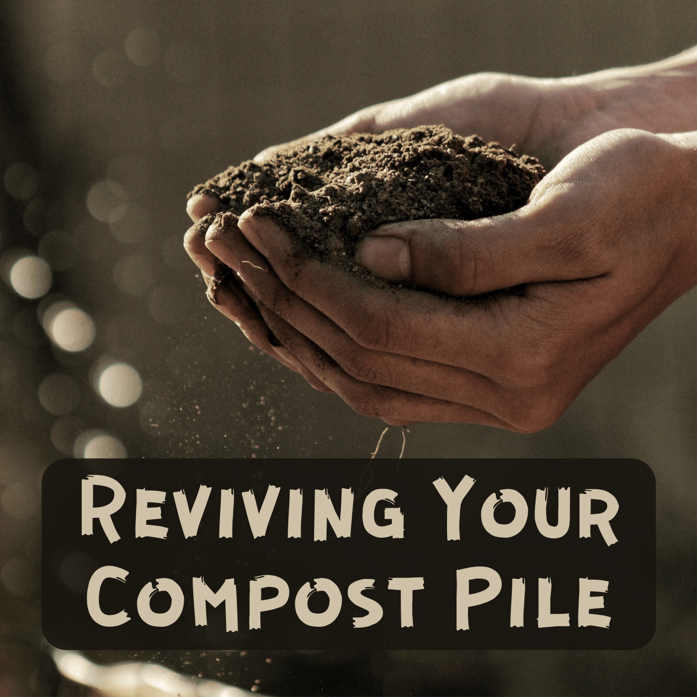 How to Revive and Restart an Old Compost Pile - Dengarden