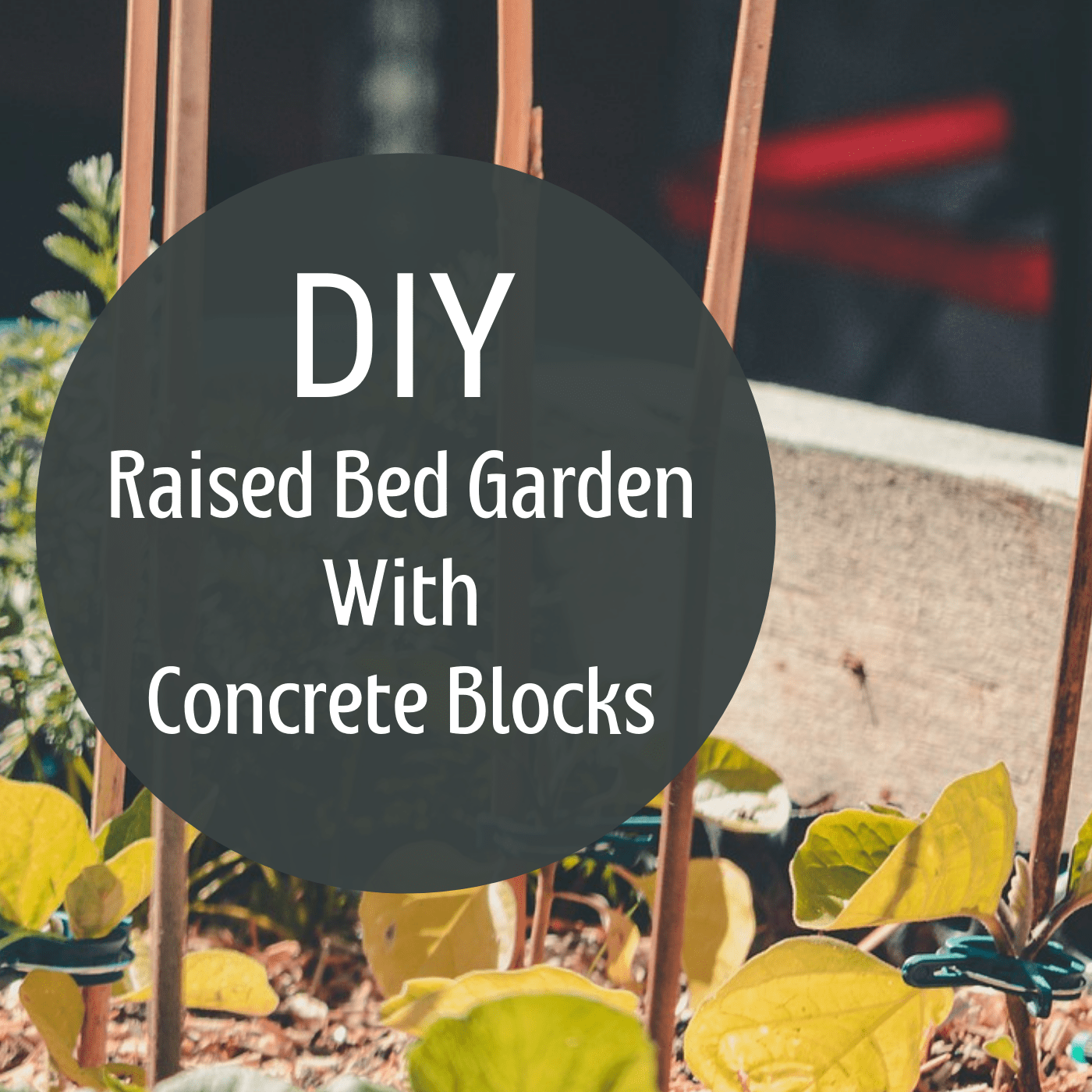How to Build a Concrete Block Raised Bed Garden - Dengarden