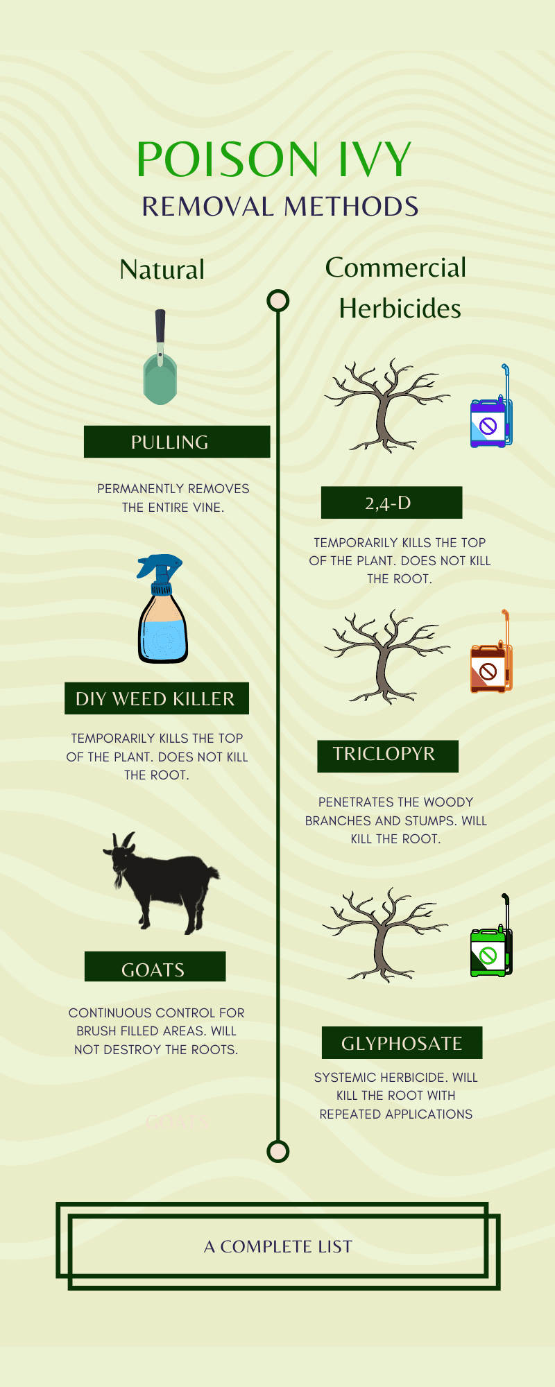 How to Kill Poison Ivy: A Complete List of Methods and Tips - Dengarden