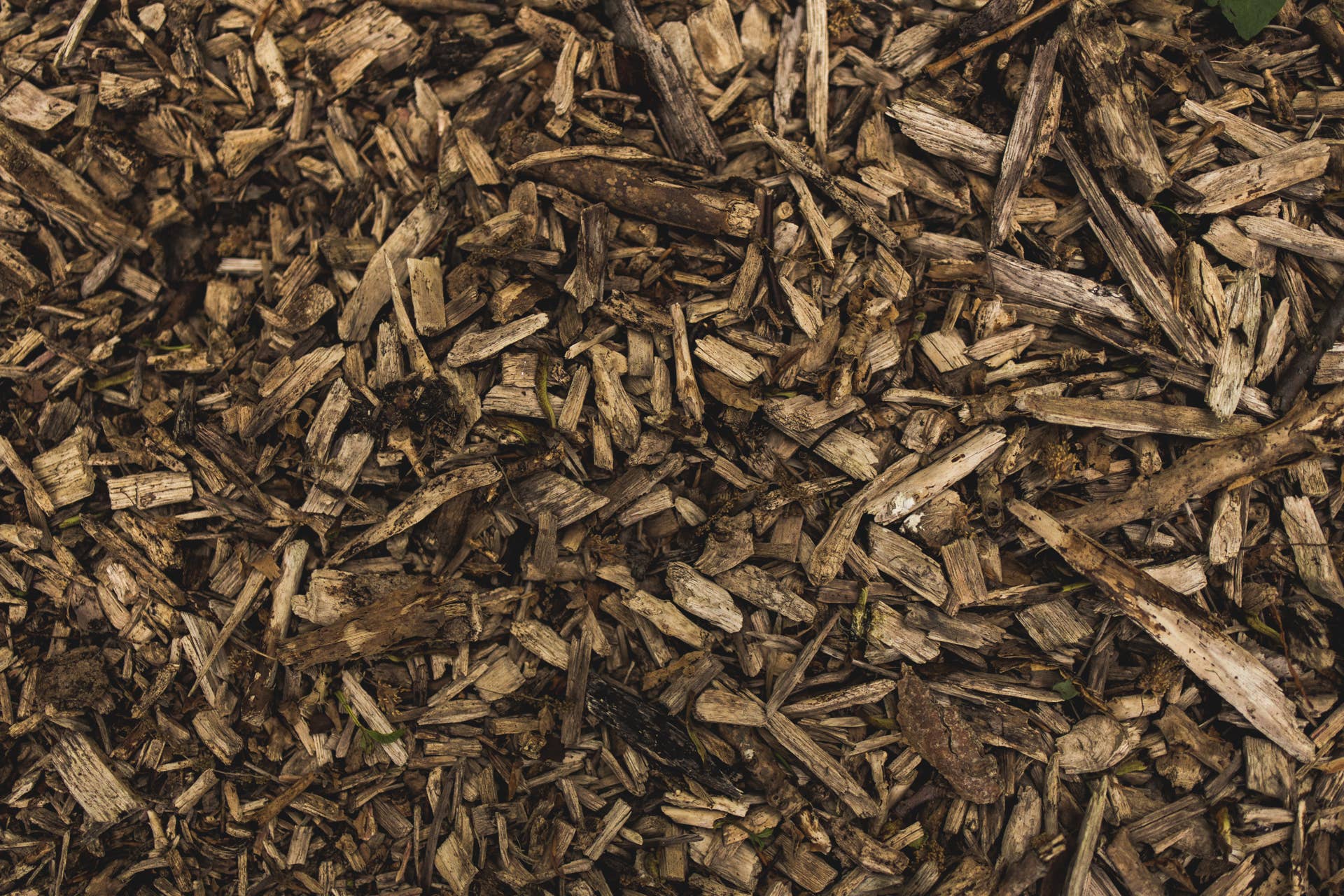 Mulch: The Real Scoop - Dengarden
