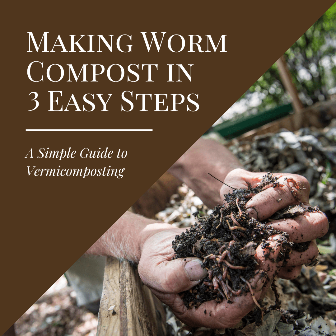 How to Make Worm Compost in 3 Easy Steps - Dengarden