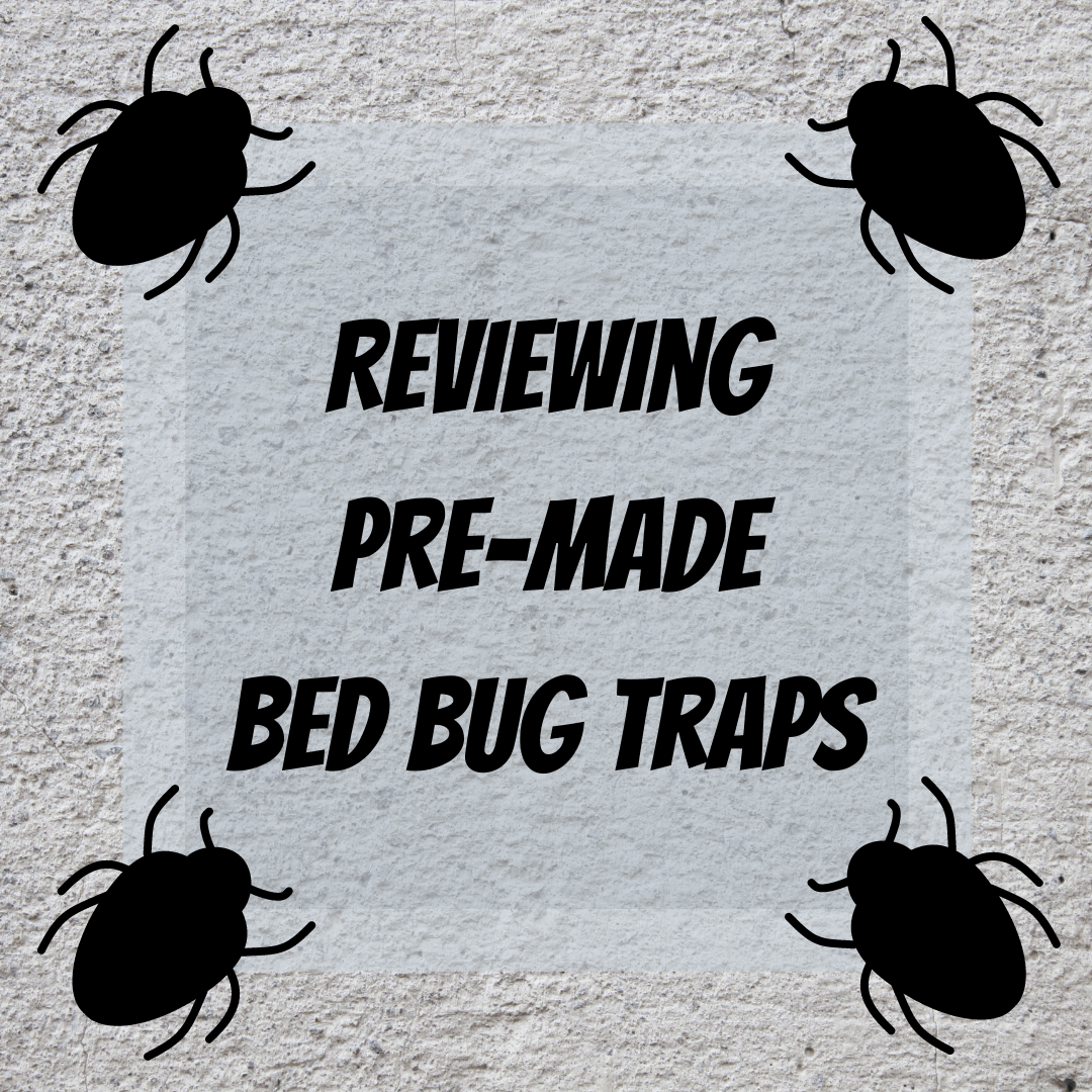 BuggyBed and Expel Bed Bug Trap Review and Comparison - Dengarden