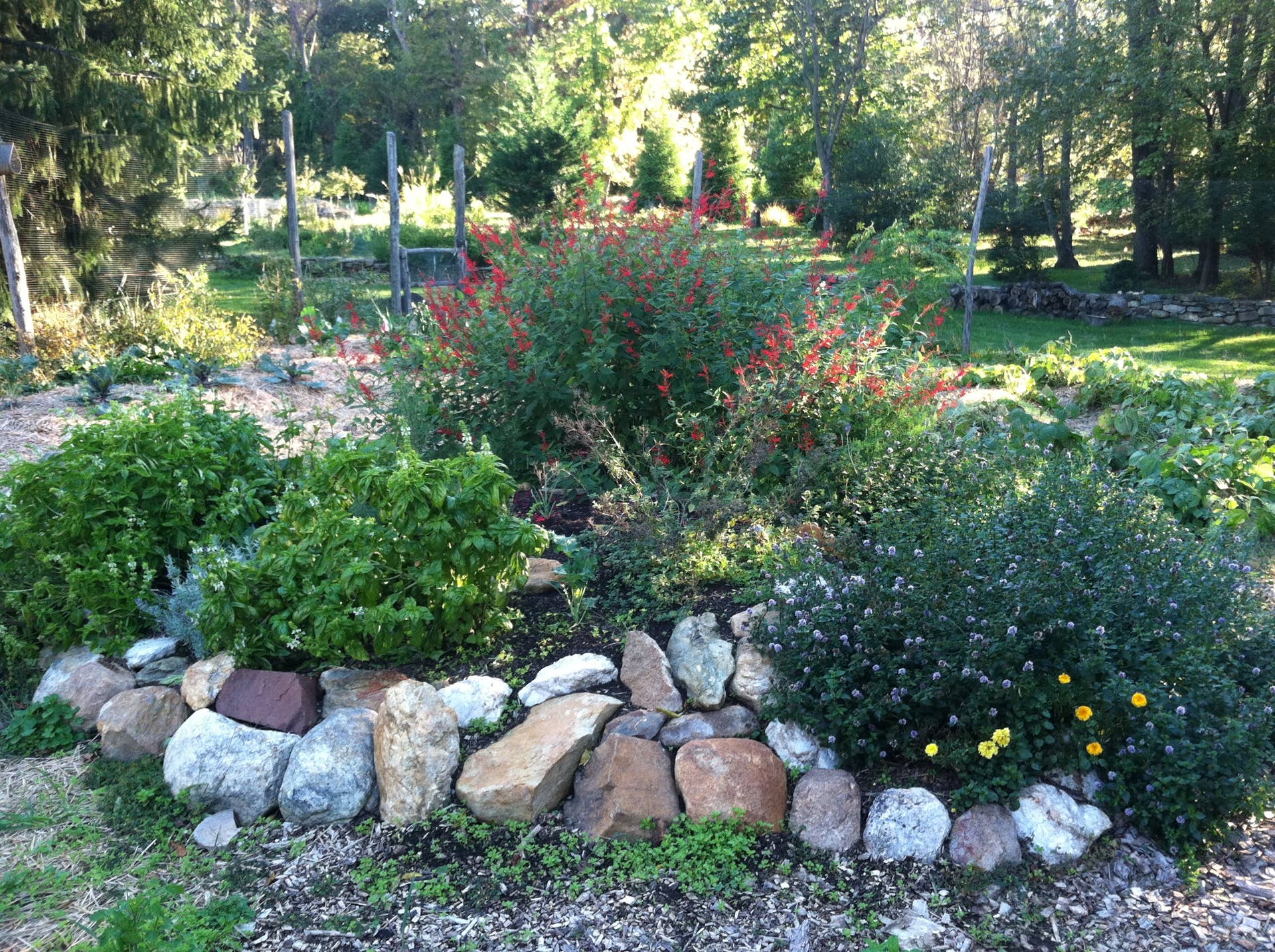 How to Build an Herb Spiral (and What to Grow in It!) - Dengarden