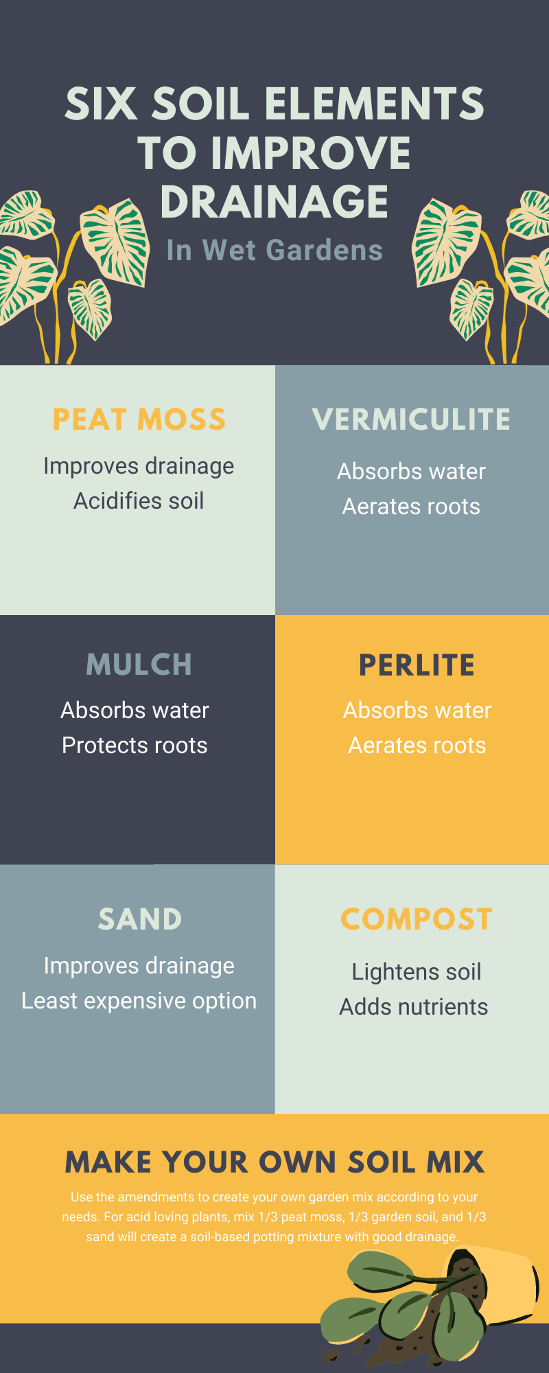 15 Plants That Like Wet Soil (Plus Growing Tips and FAQs) - Dengarden