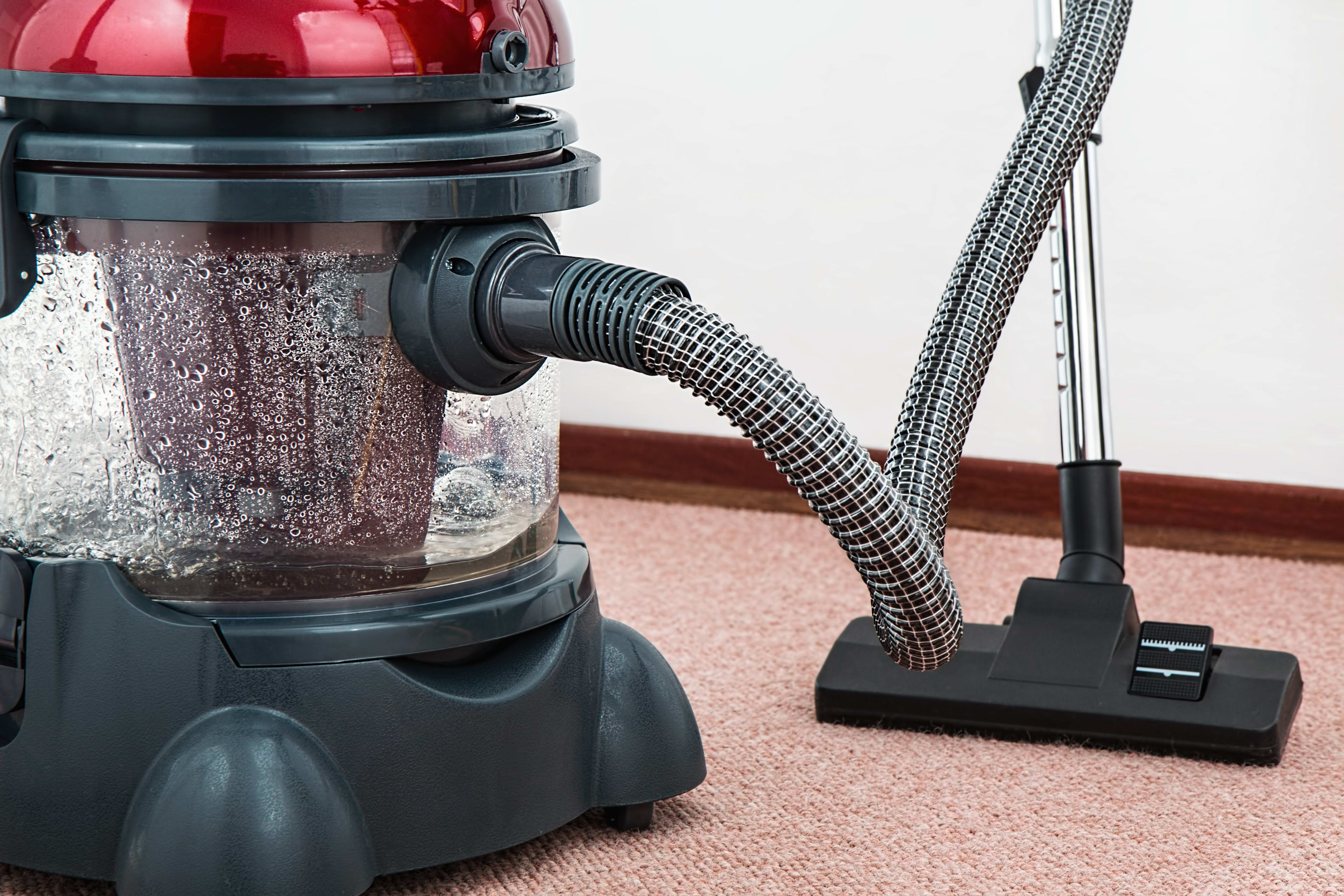 Carpet & Rug Cleaning Tips and How-Tos - Dengarden