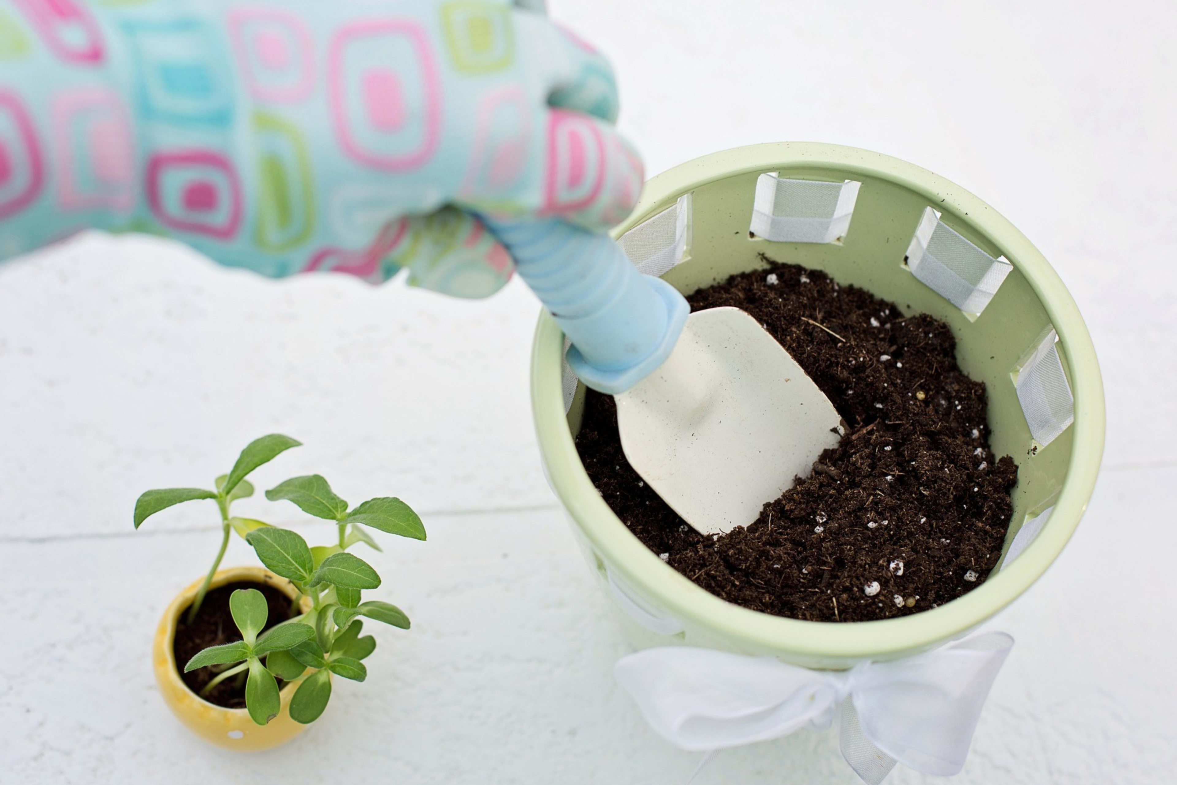 Plant Swap Prep: Putting Your Best Root Forward - Dengarden