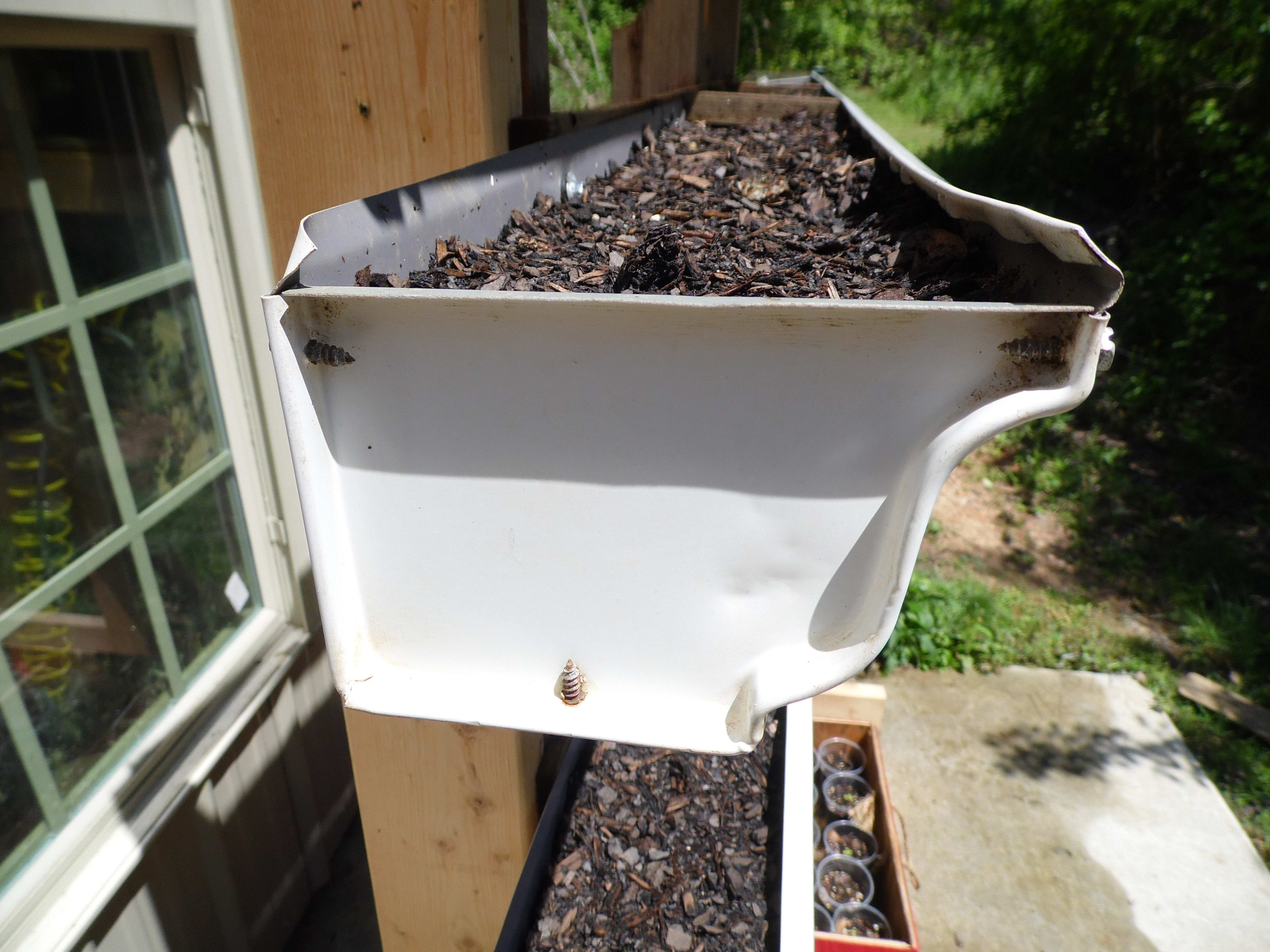 Building a Gutter Garden - Dengarden