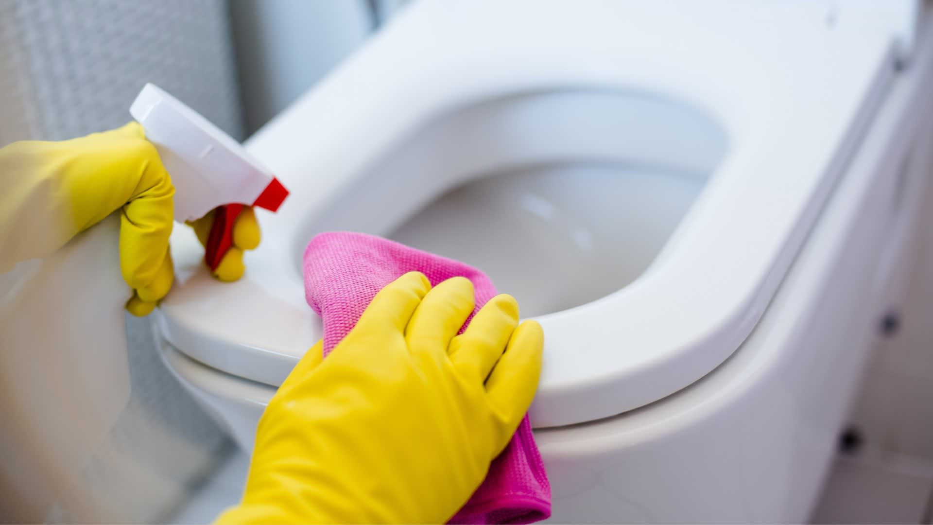 10 DIY Home Cleaning Recipes Professional Cleaners Swear By - Dengarden