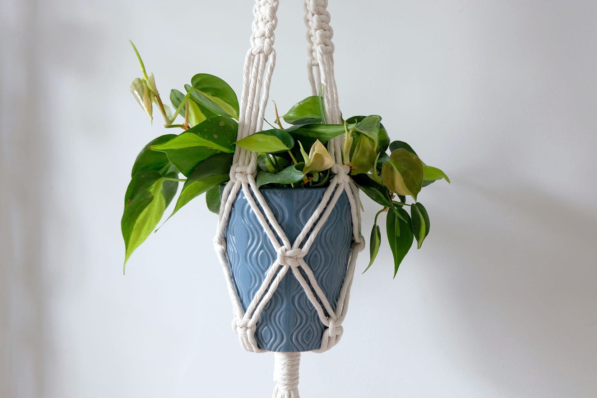 Upgrade Your Plant Hangers With This Brilliant DIY Hack - Dengarden