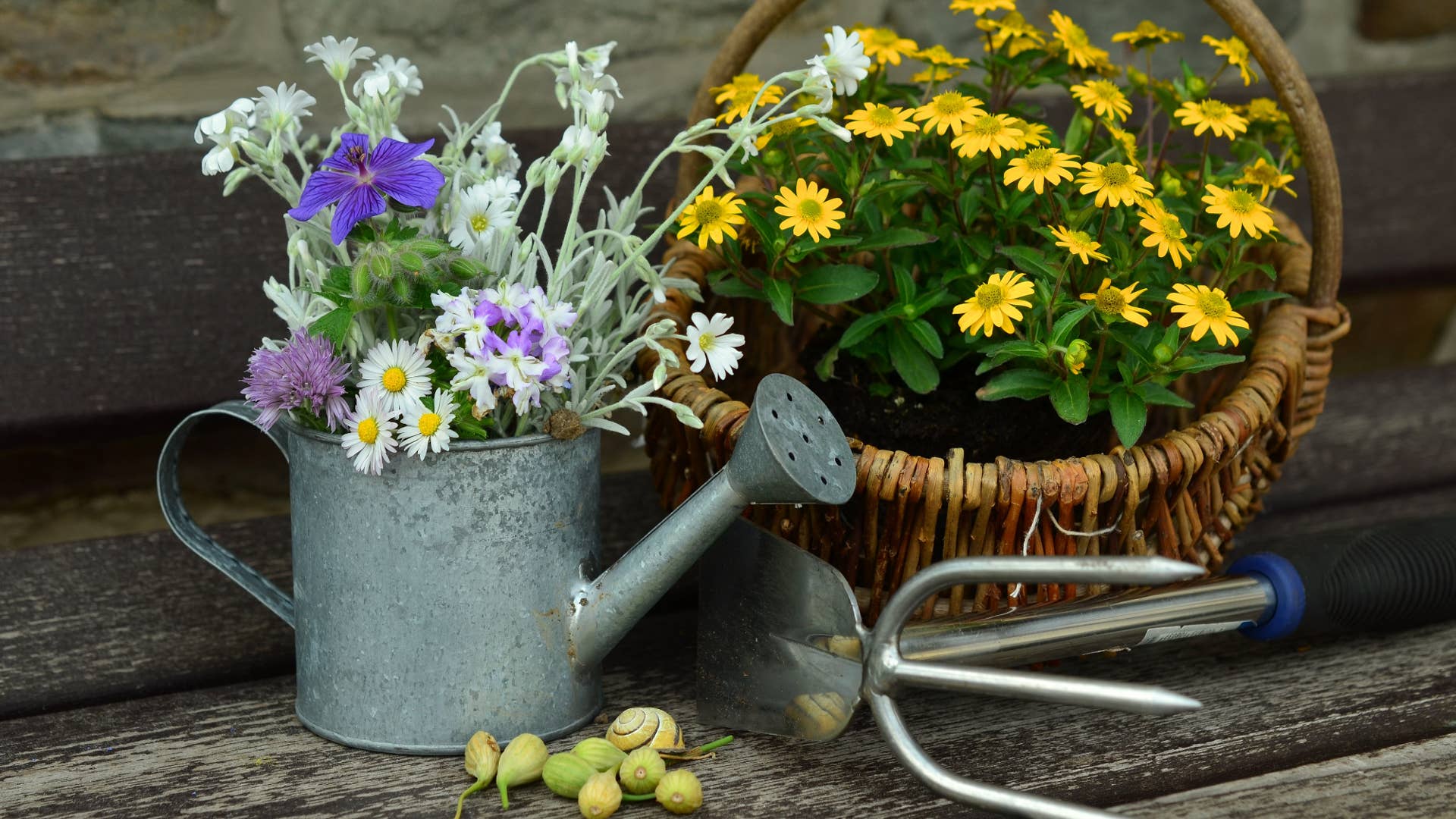 24 Types of Yellow Flowers With Names and Tips for Care - Dengarden