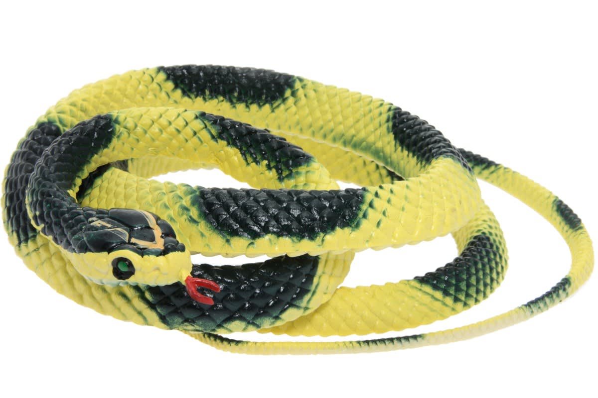 12 Easy Tricks for Keeping Predators Away From Your Garden and Flock ...