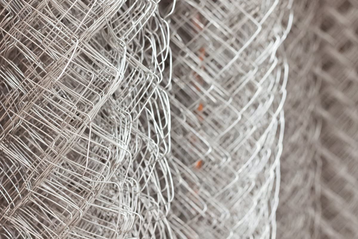 12 Easy Tricks for Keeping Predators Away From Your Garden and Flock ...