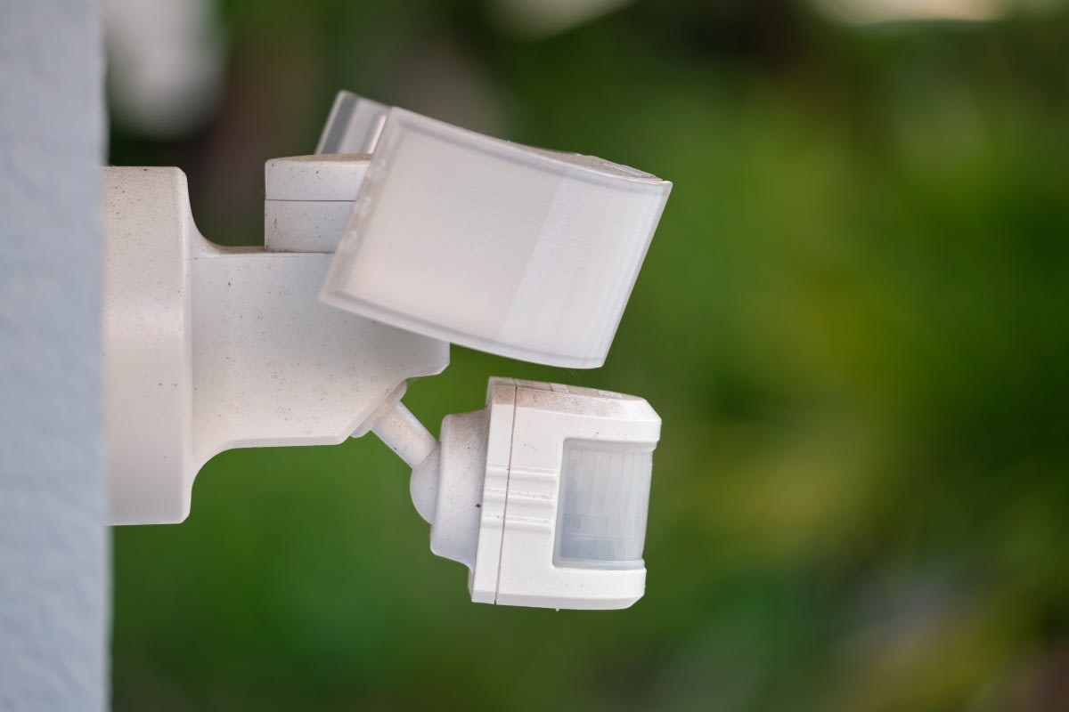 12 Easy Tricks for Keeping Predators Away From Your Garden and Flock ...