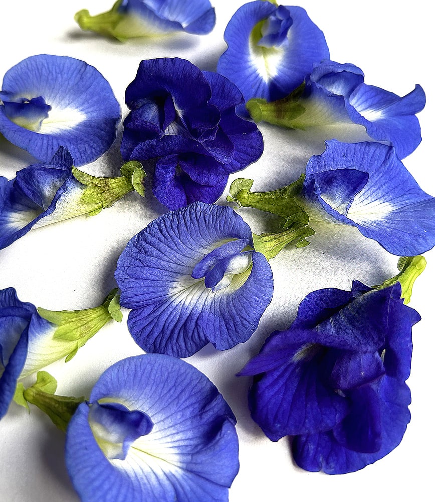 Edible Flower: Blue Butterfly Pea - Dengarden