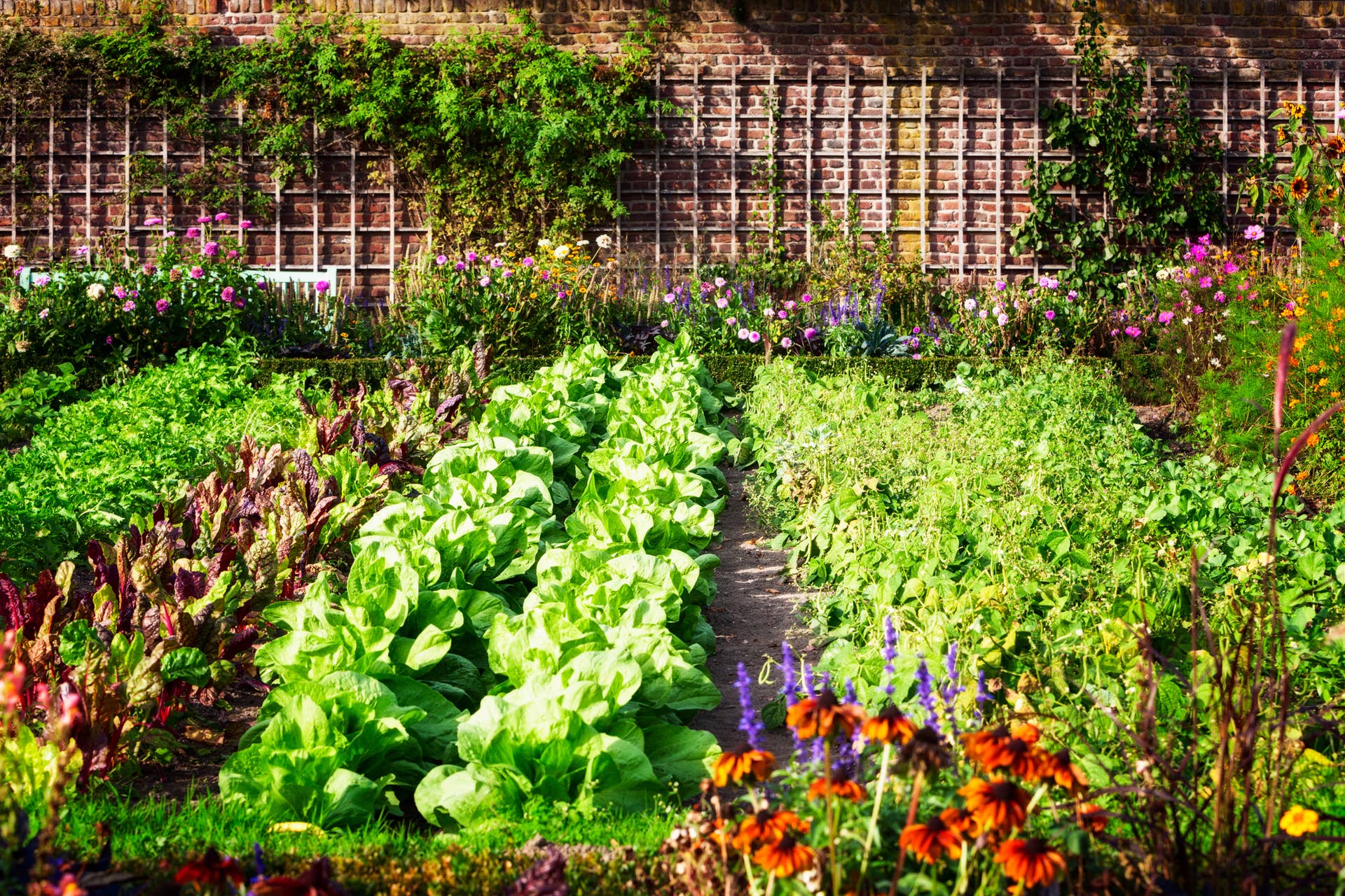 What is Market Gardening and How to Start One - Dengarden