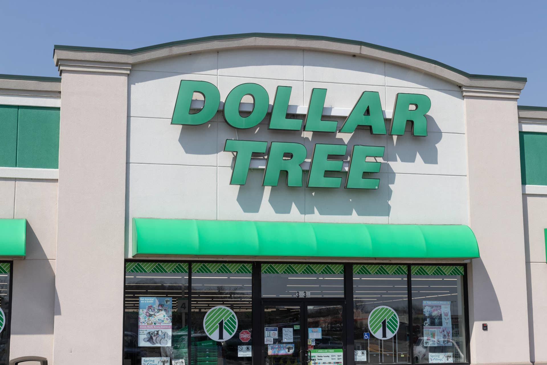 Dollar Tree's Brand New Garden Finds Have People Talking - Dengarden