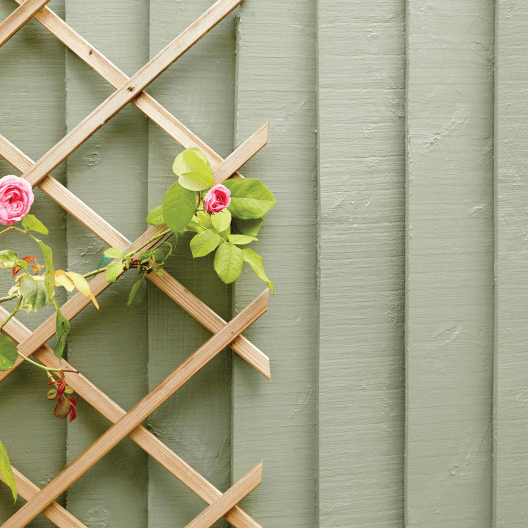 15 Backyard Fence Ideas For Privacy in Style - Dengarden