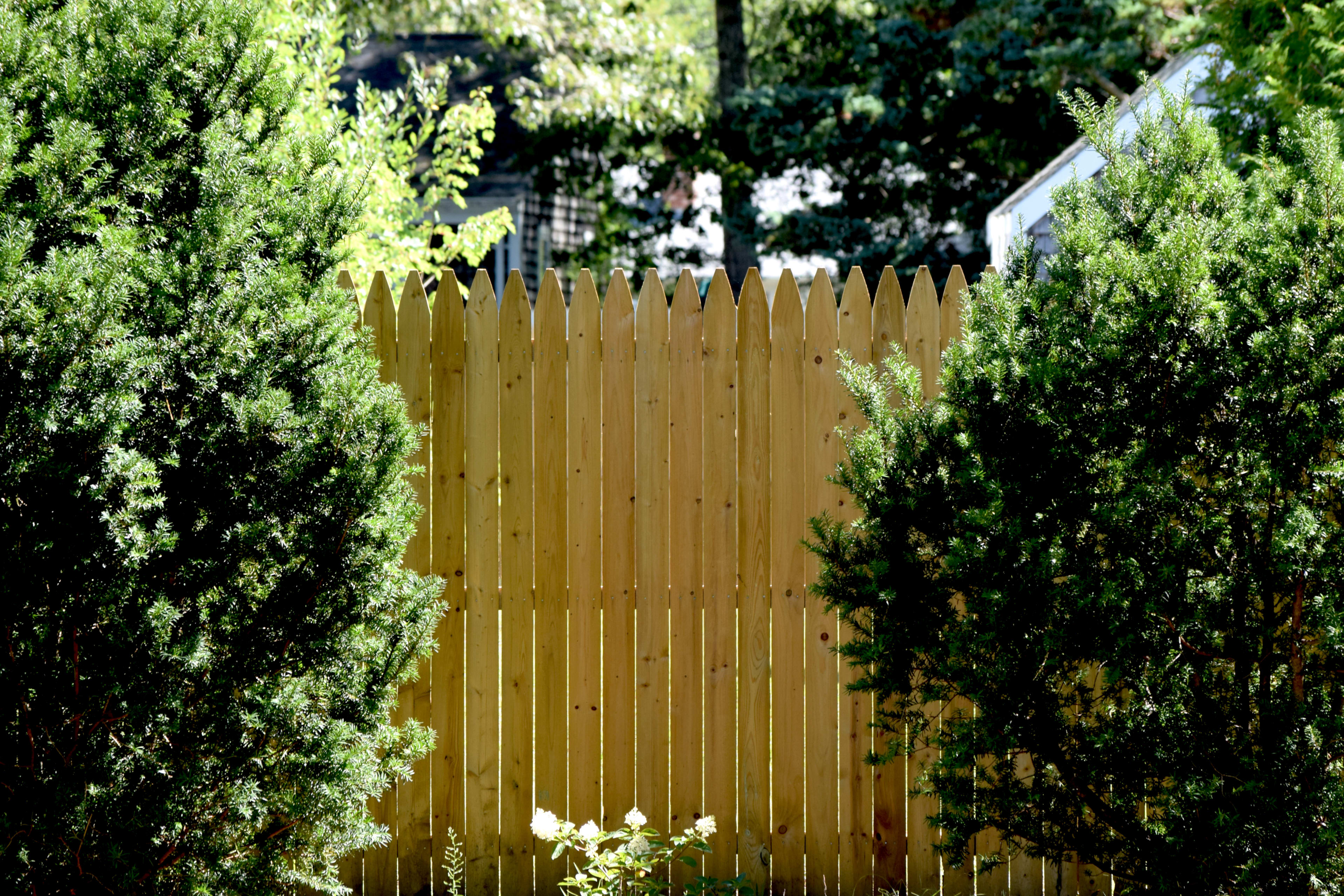 15 Backyard Fence Ideas For Privacy in Style - Dengarden