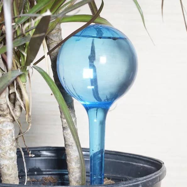 This Super Handy Self-Watering Orb Is Under $1 at Target - Dengarden