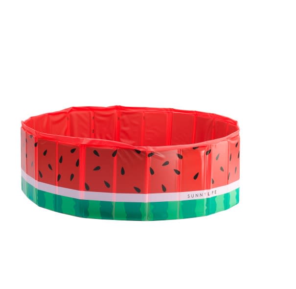 Marshall's Has the Cutest Watermelon Pet Pool for Summer Fun - Dengarden
