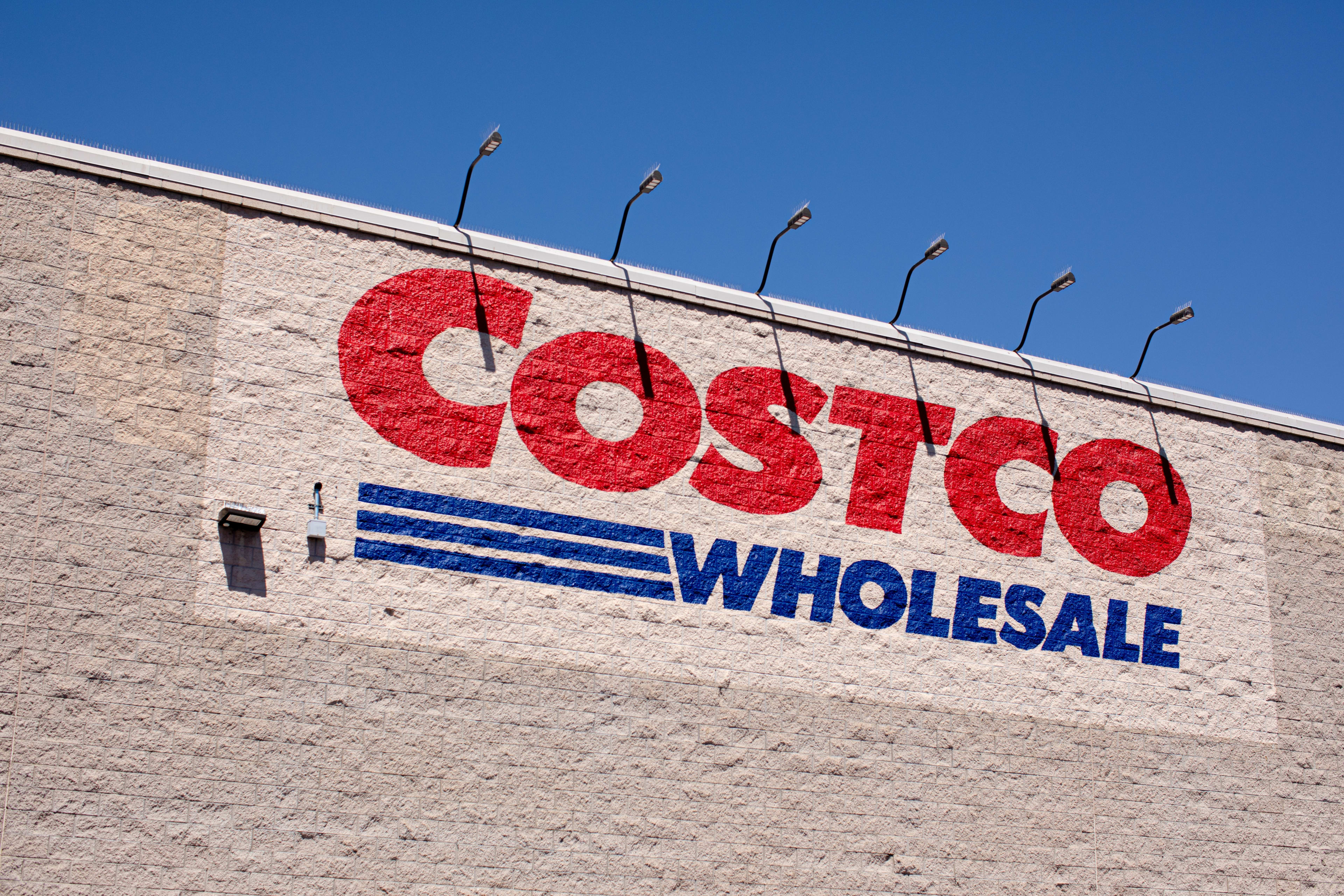 Costco Just Dropped New Totes and Shoppers Adore Them - Dengarden