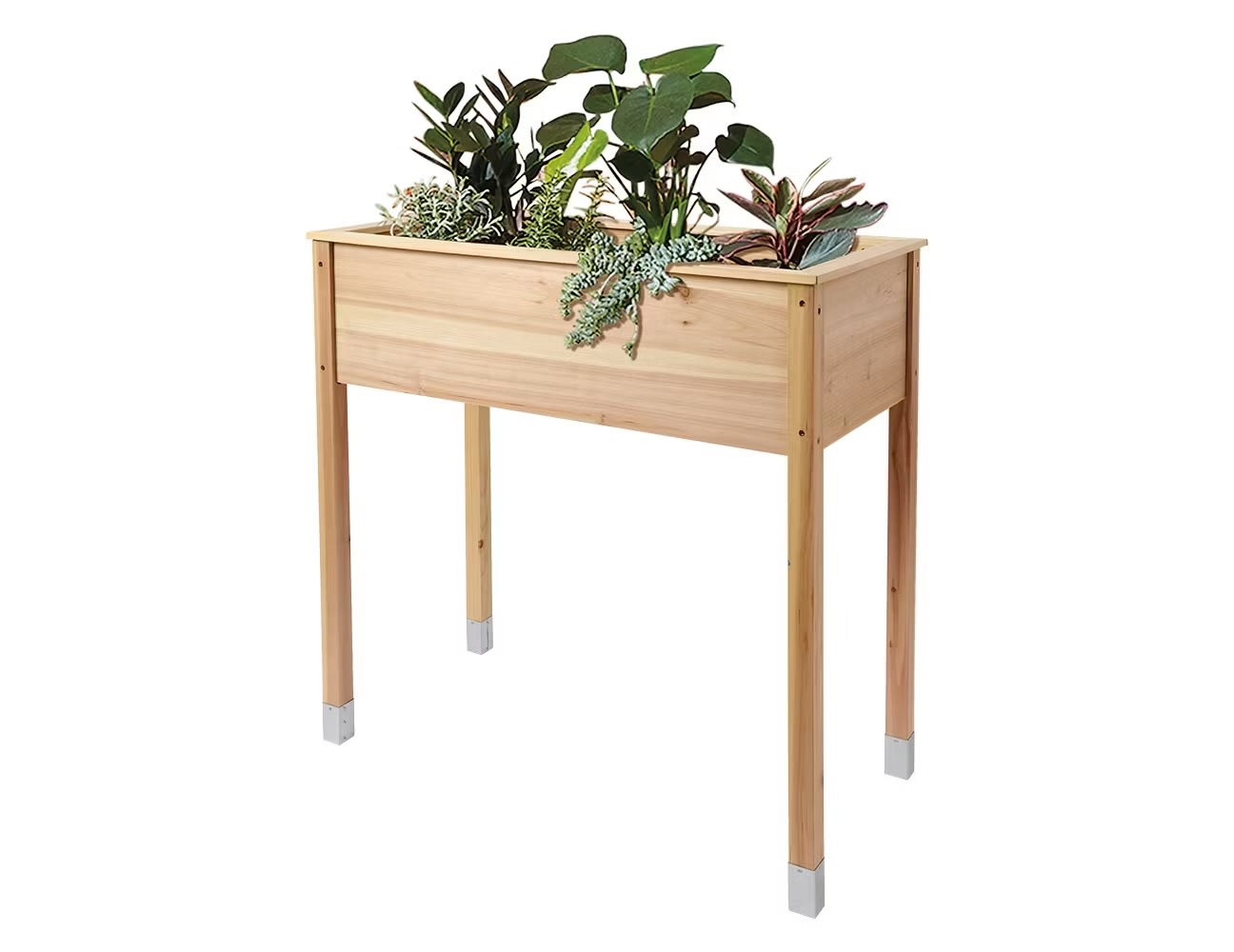 These Fan-Favorite Planters Are Back at ALDI - Dengarden