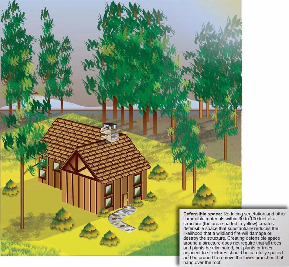 Fire-Resistant Landscaping: What to Plant to Prevent the Spread of ...