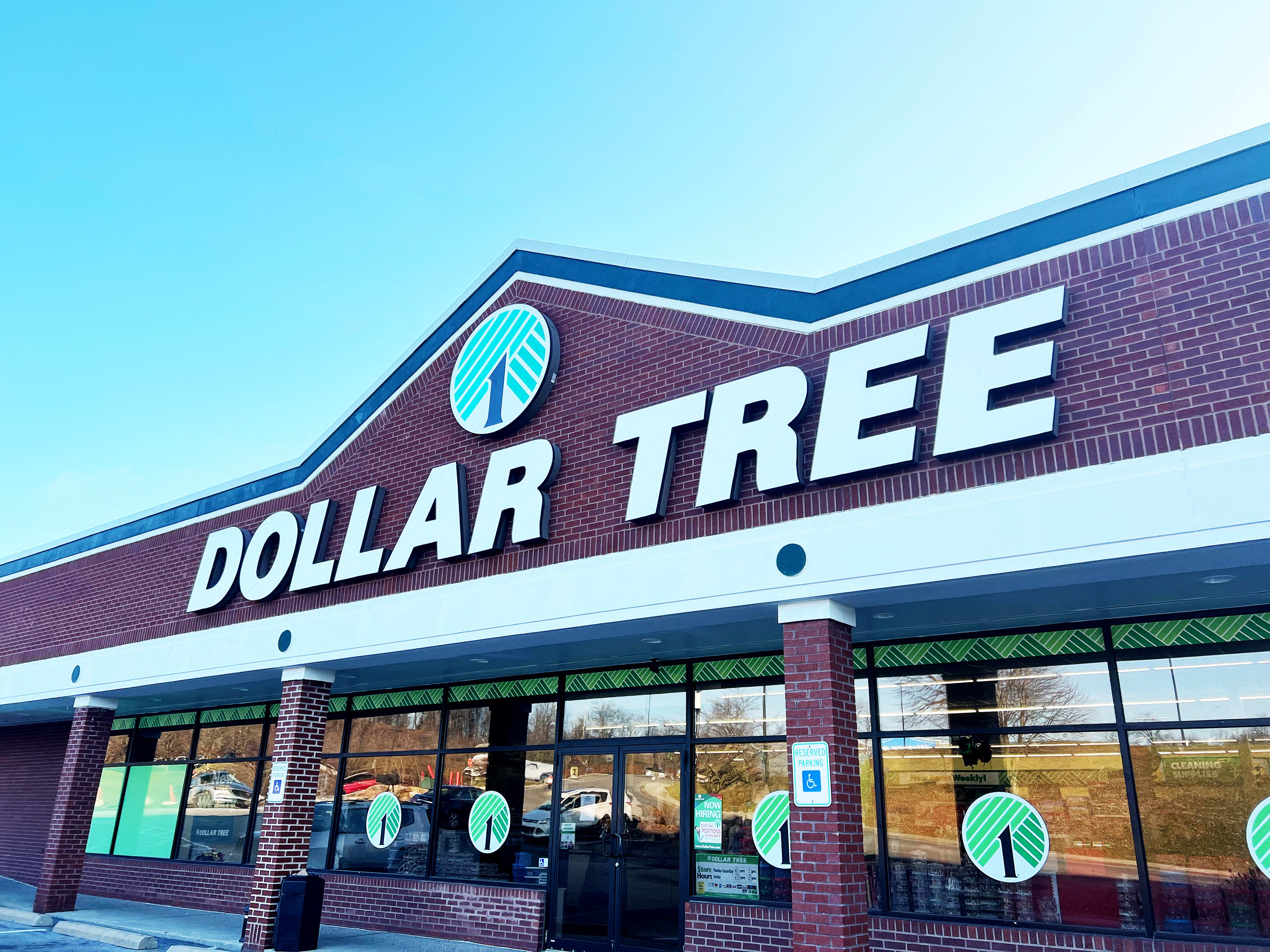 Dollar Tree Cleaning Products That Rival Brand Name Versions - Dengarden