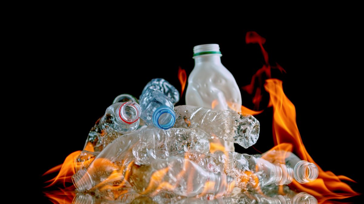 Researchers Believe This Household Trend is Quite Harmful - Dengarden