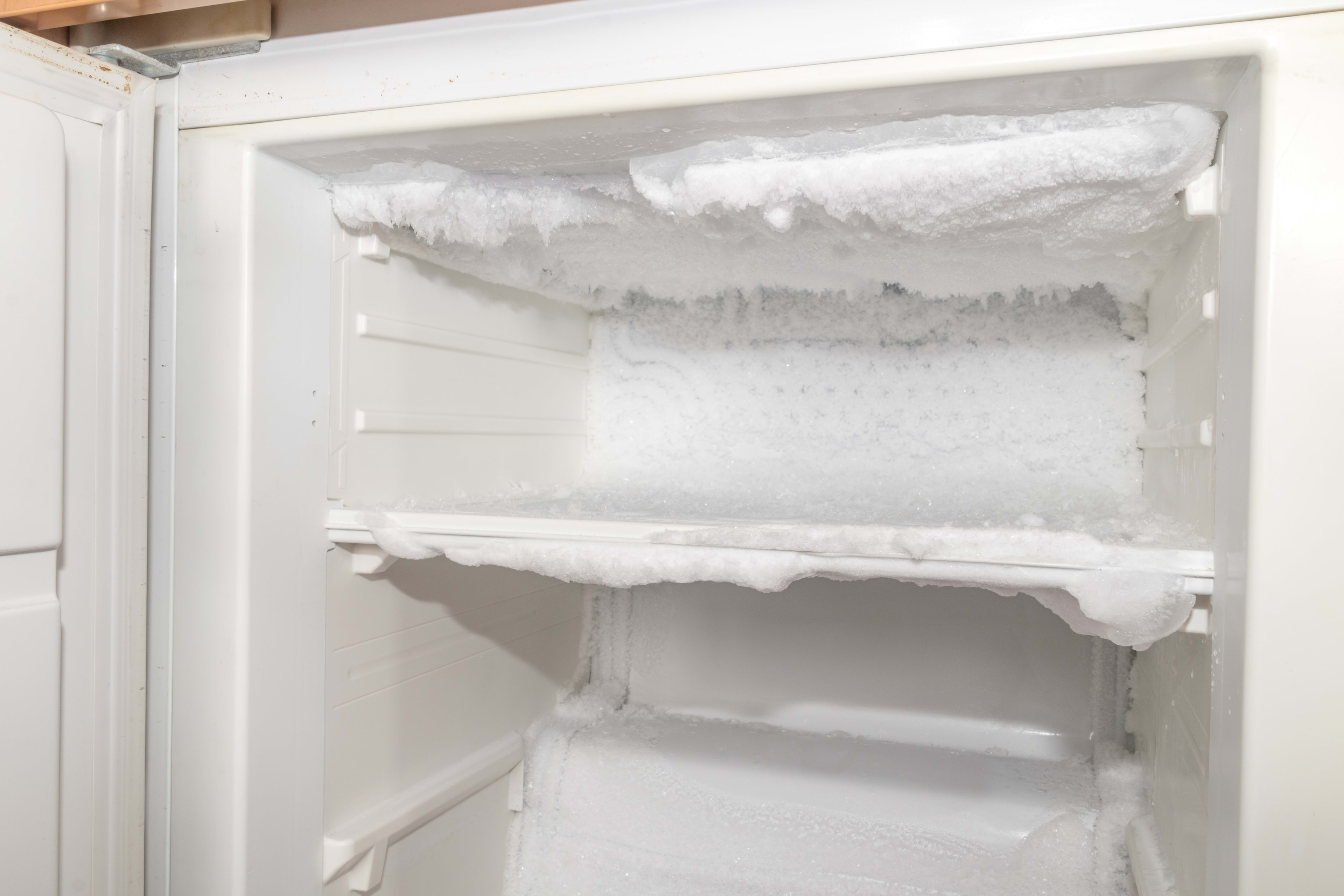How to Defrost a Freezer Without Turning It Off — in Just 5 Minutes ...