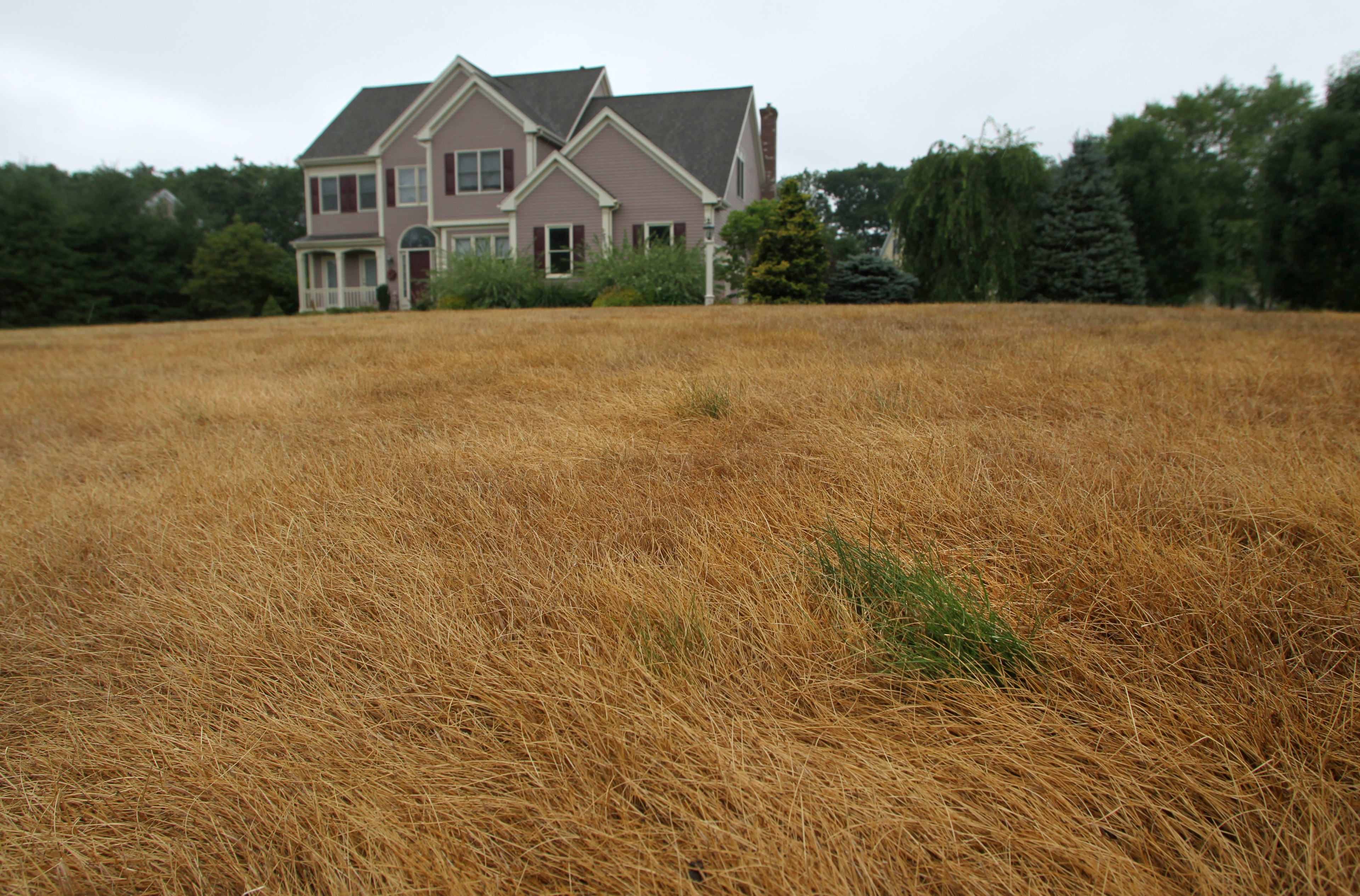Heads Up—Costco Is Selling Ruggable 8x10 Rugs for Only $300 - Dengarden