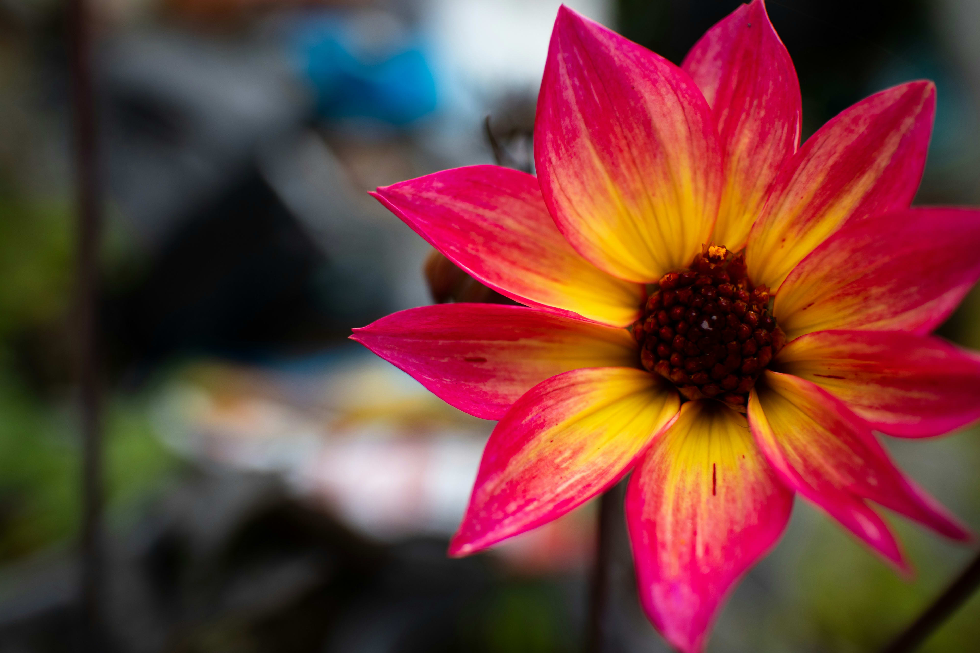 Why Propagating Some Plants Could Land You in Legal Trouble - Dengarden