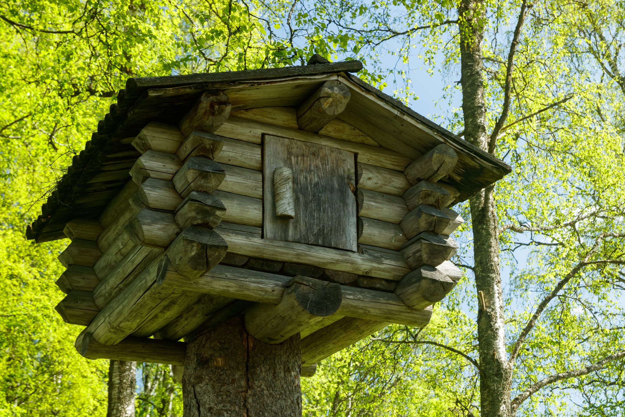 15 Treehouse Ideas - Dengarden