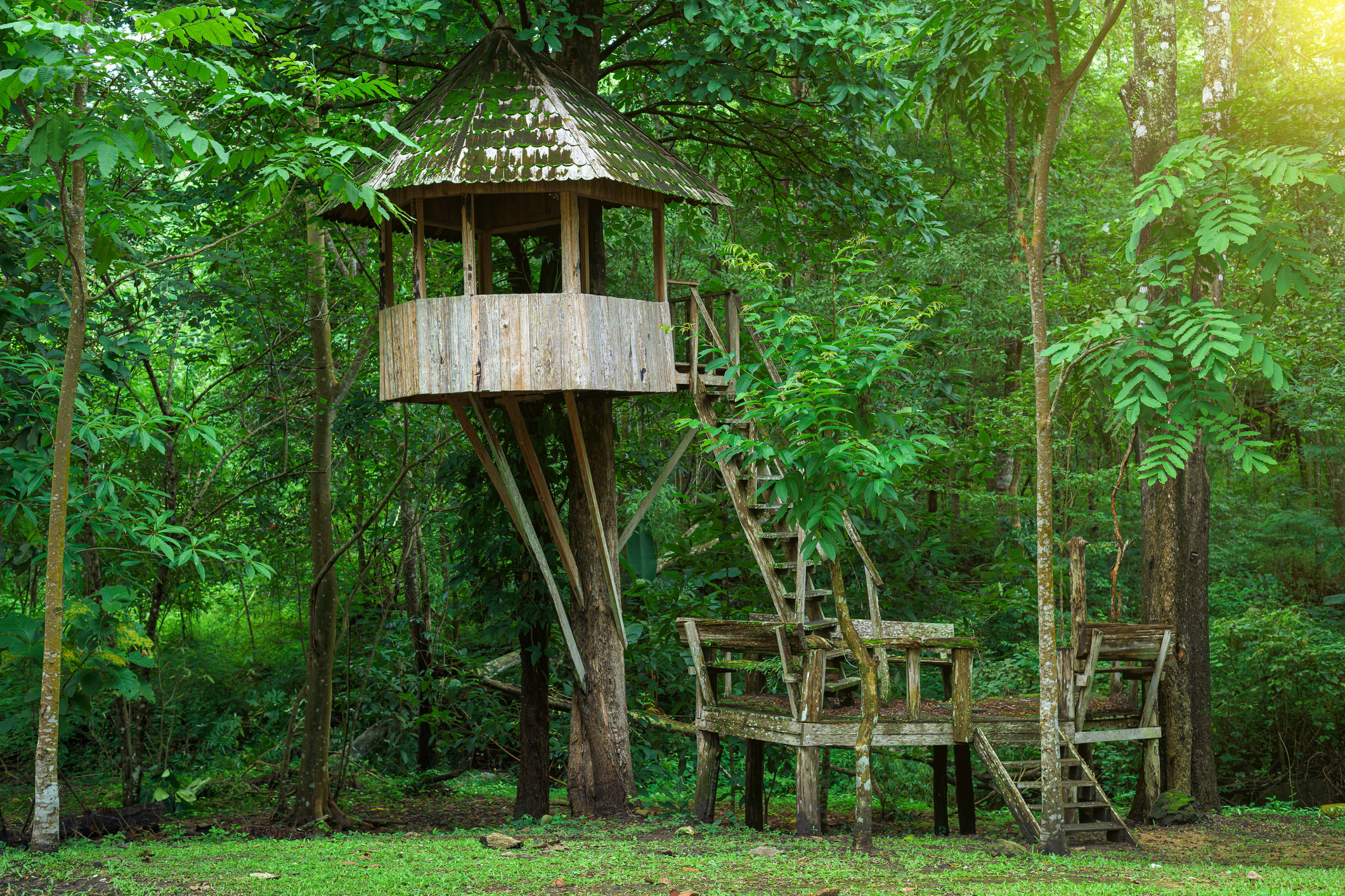 15 Treehouse Ideas - Dengarden