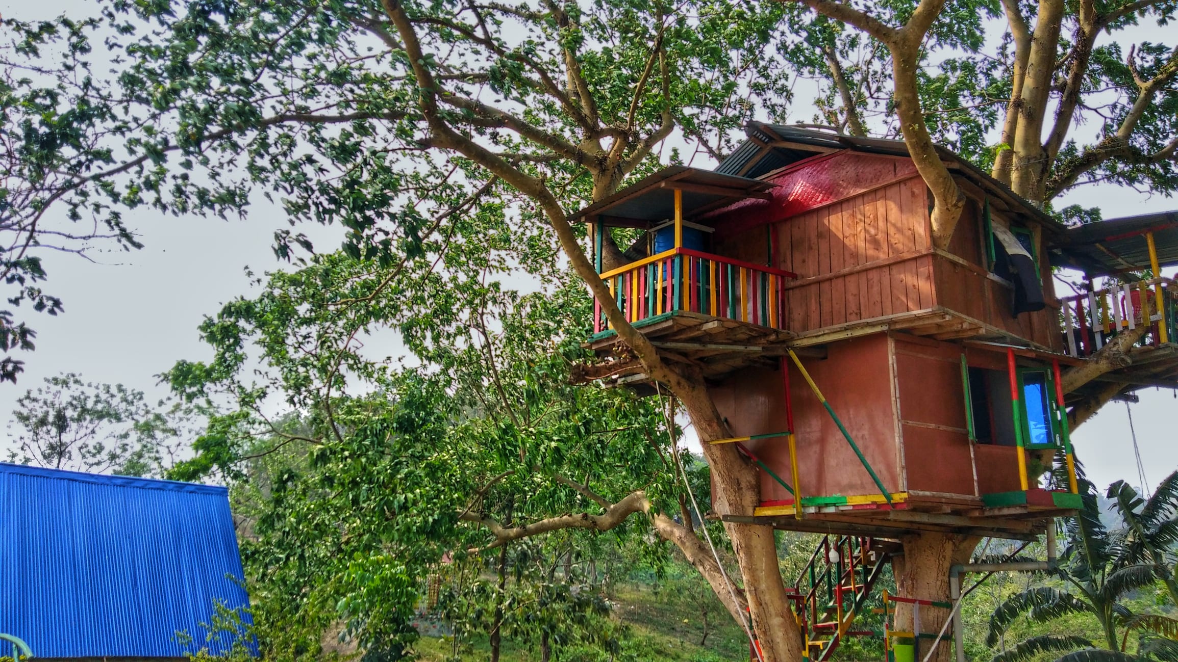 15 Treehouse Ideas - Dengarden