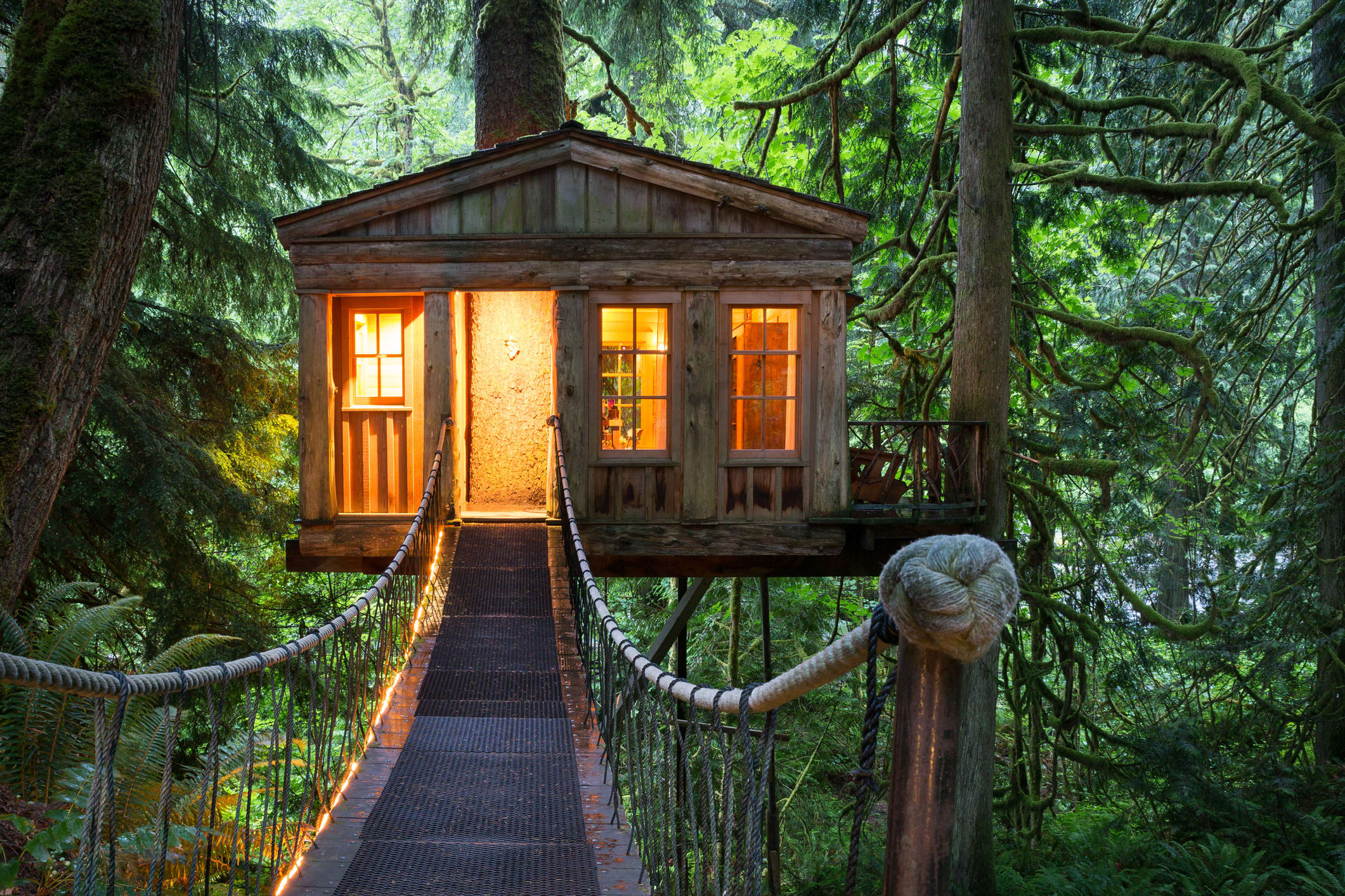 15 Treehouse Ideas - Dengarden