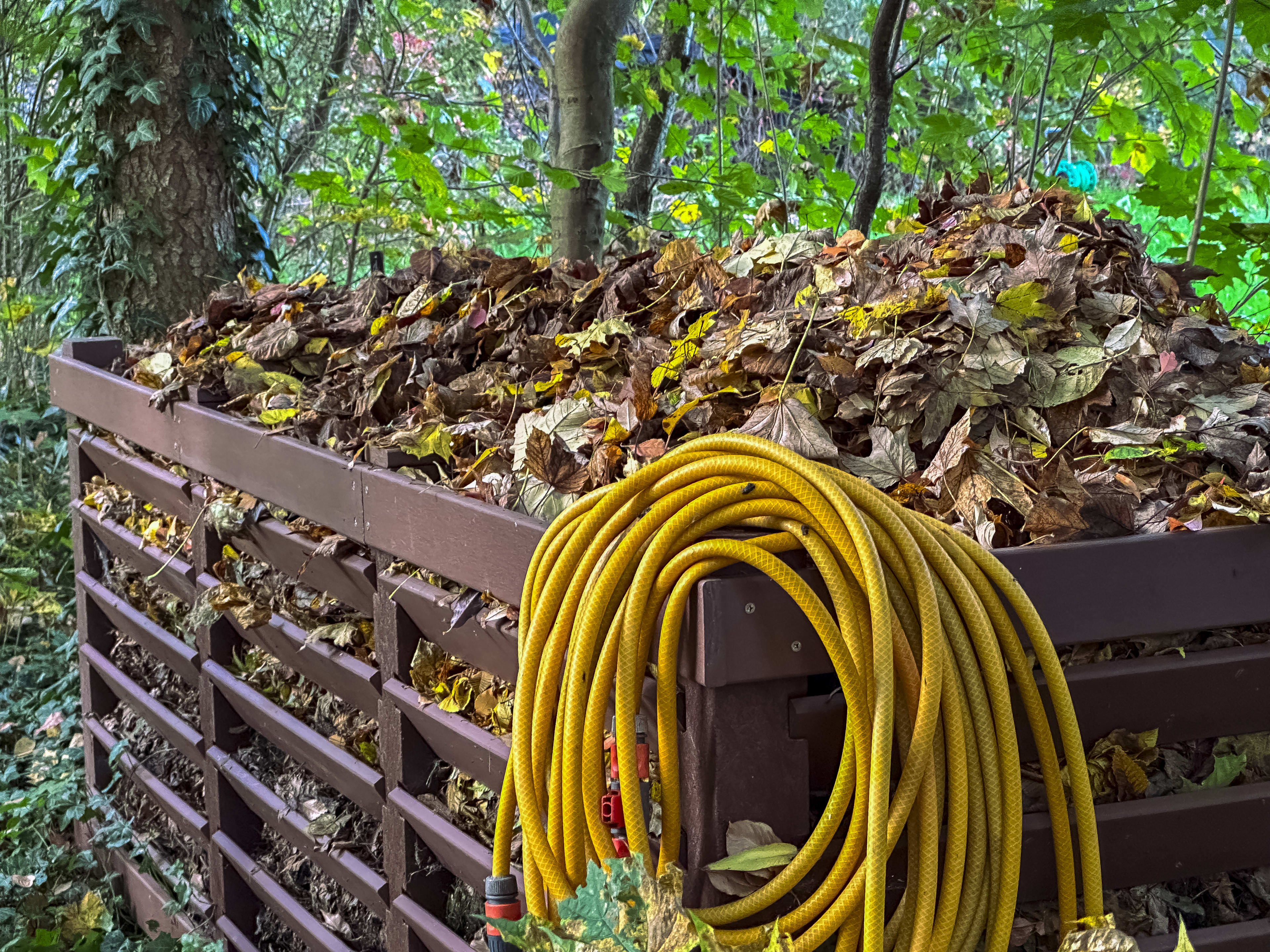 How to Compost Leaves for Nutrient Rich Soil Next Year - Dengarden