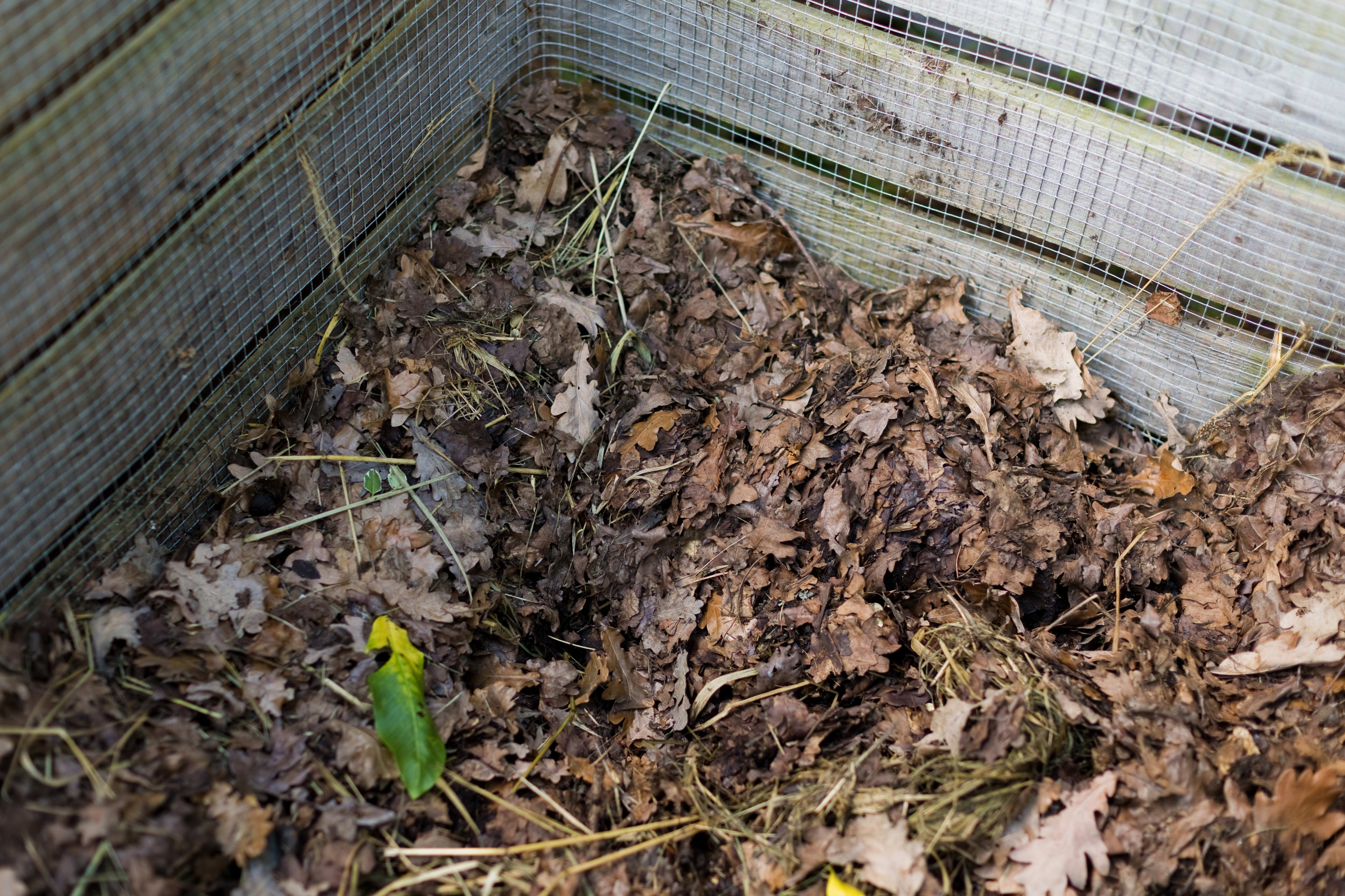 How to Compost Leaves for Nutrient Rich Soil Next Year - Dengarden