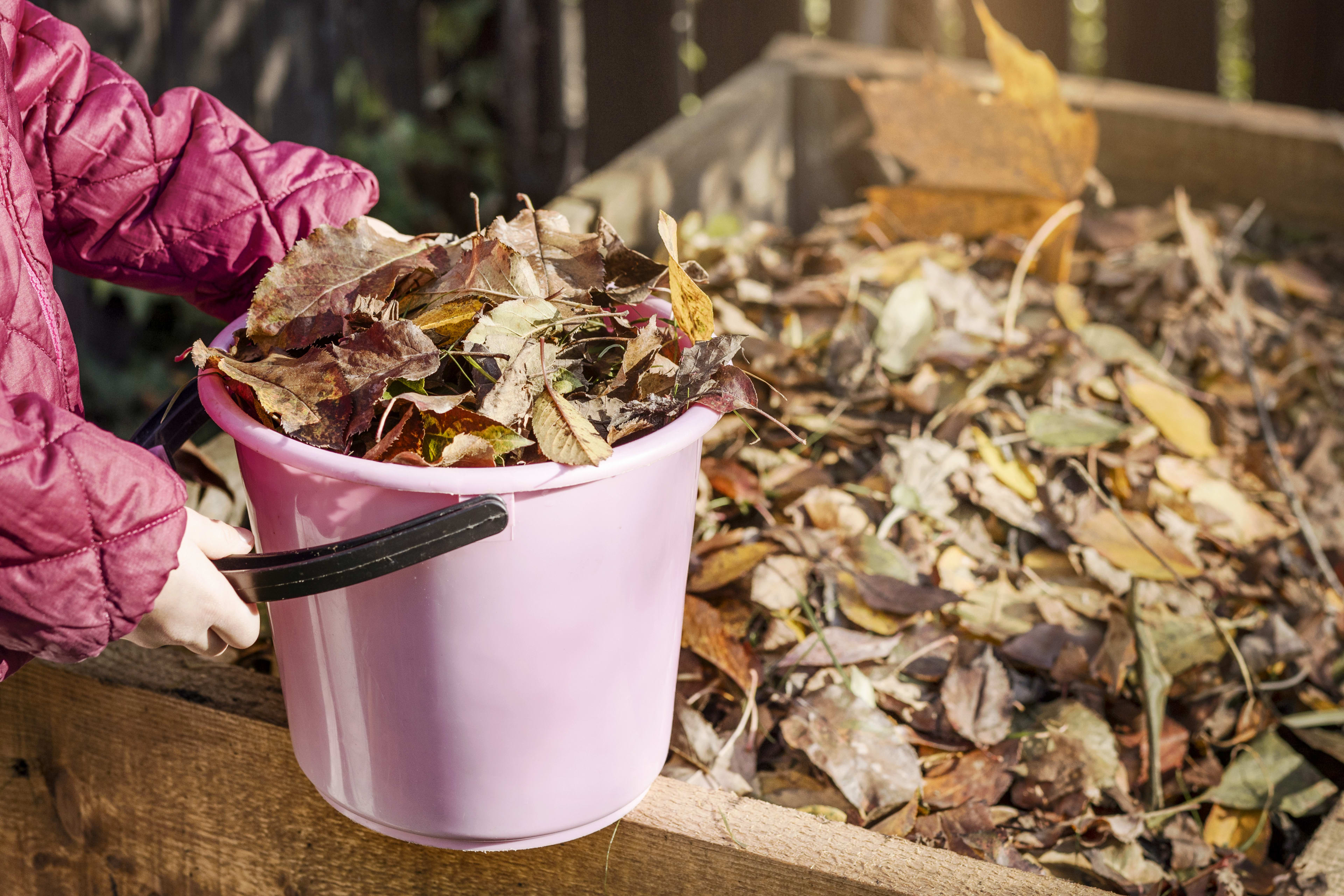 How to Compost Leaves for Nutrient Rich Soil Next Year - Dengarden