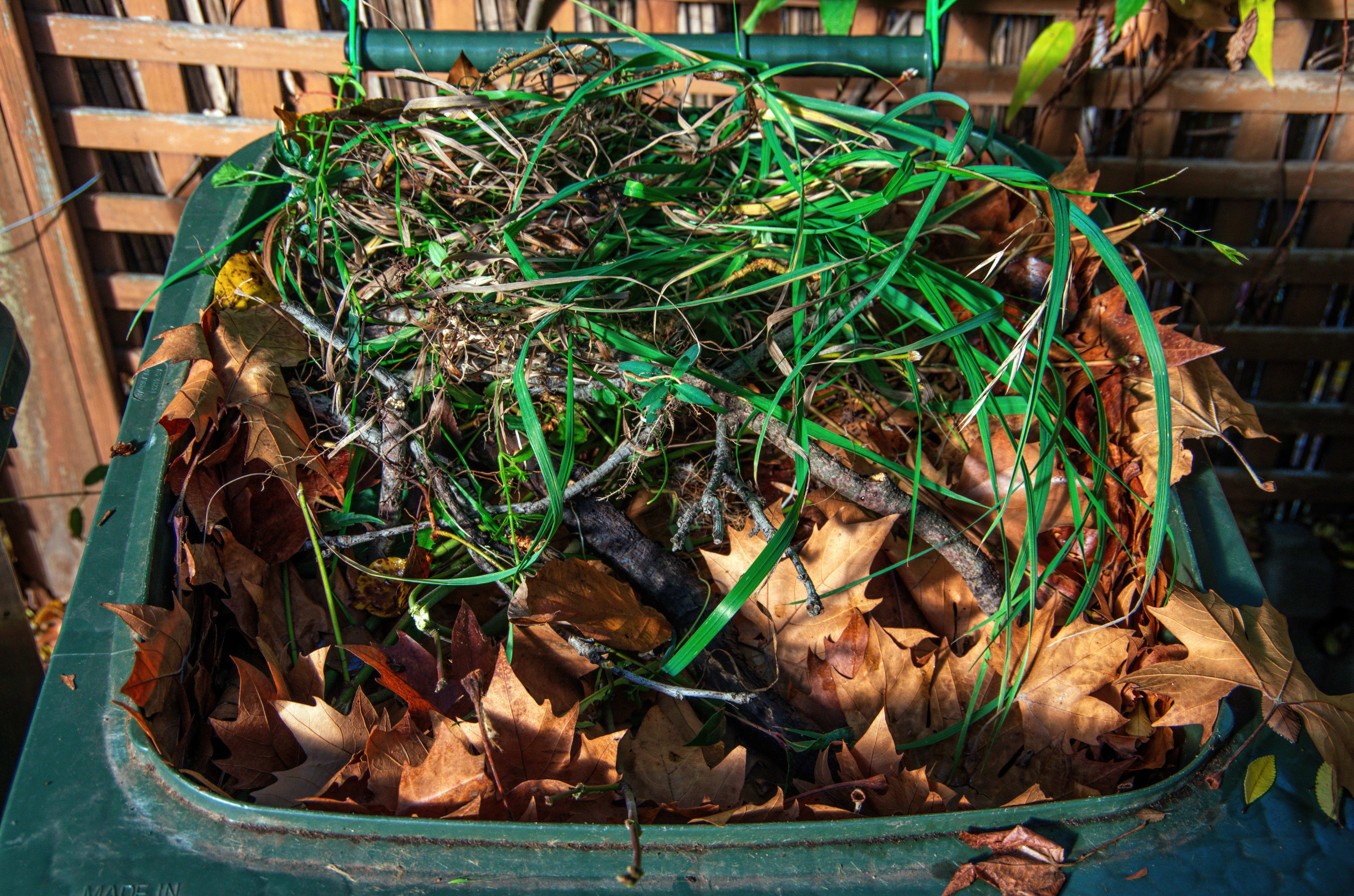 How to Compost Leaves for Nutrient Rich Soil Next Year - Dengarden