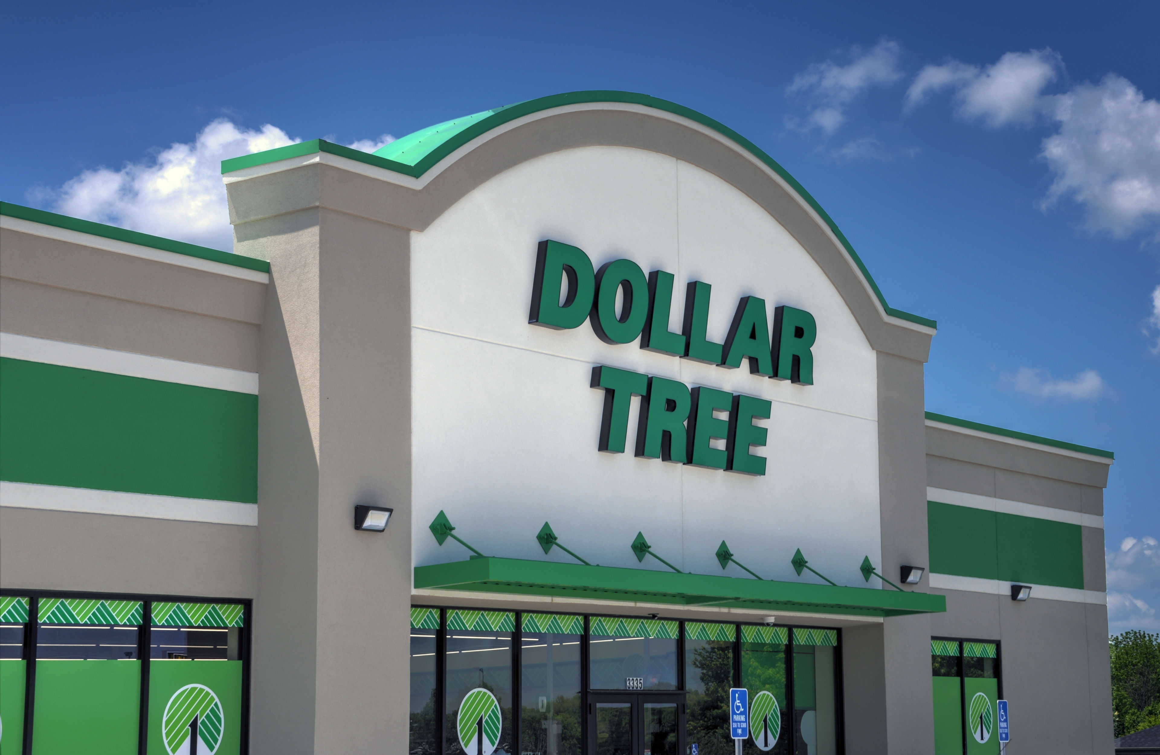 Organize Your Entire Home With These Viral Dollar Tree Items - Dengarden