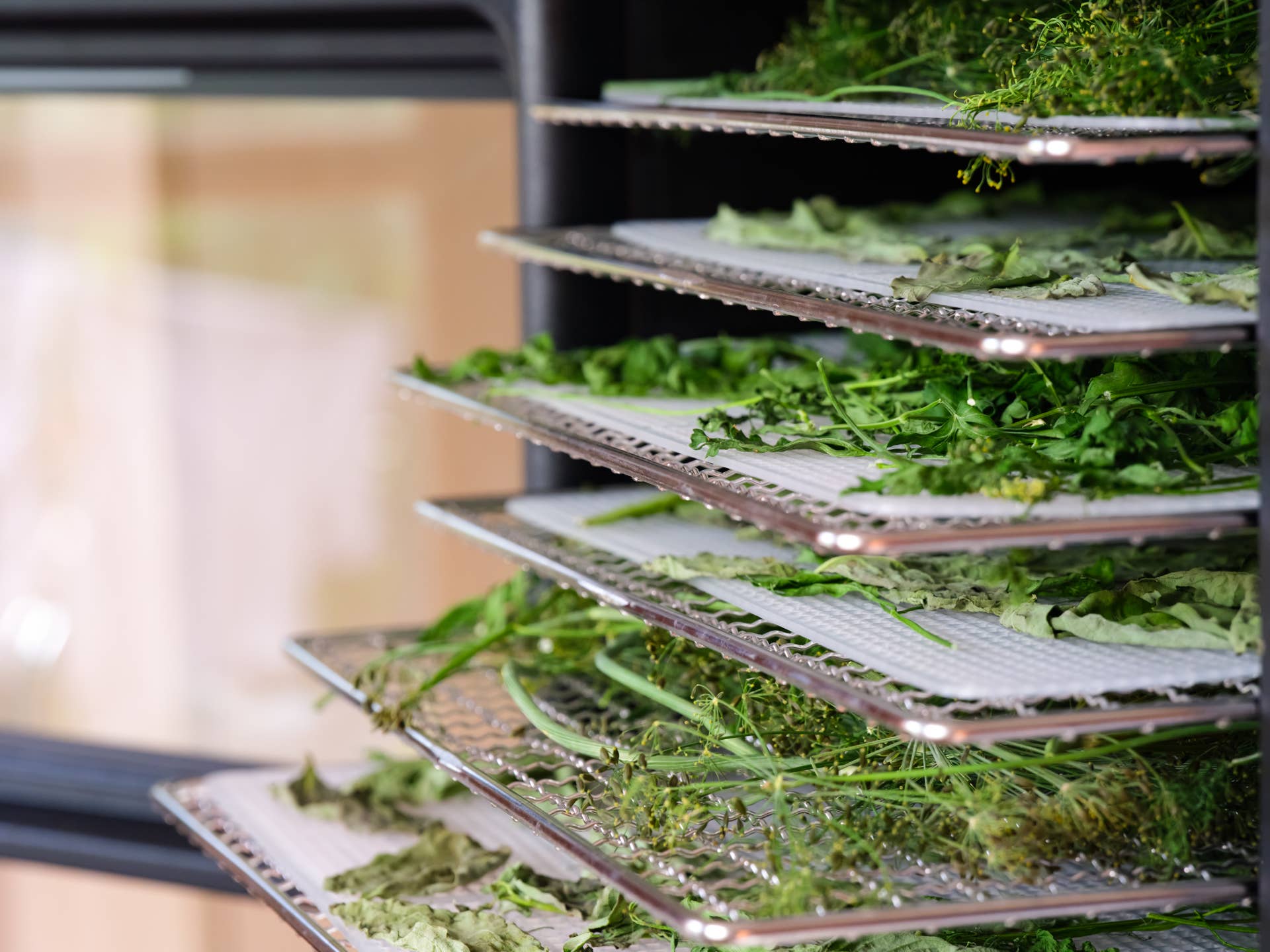 How to Dry Basil From Your Garden—Without Ruining It - Dengarden