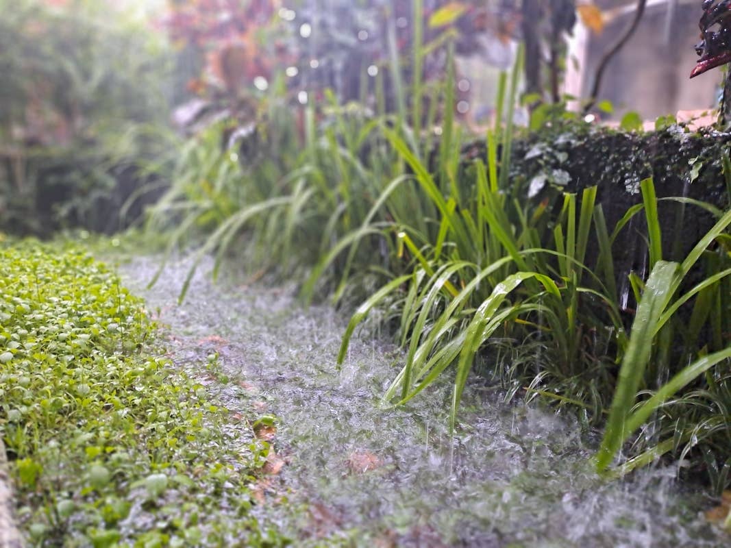 Dengarden for Home and Garden Inspiration