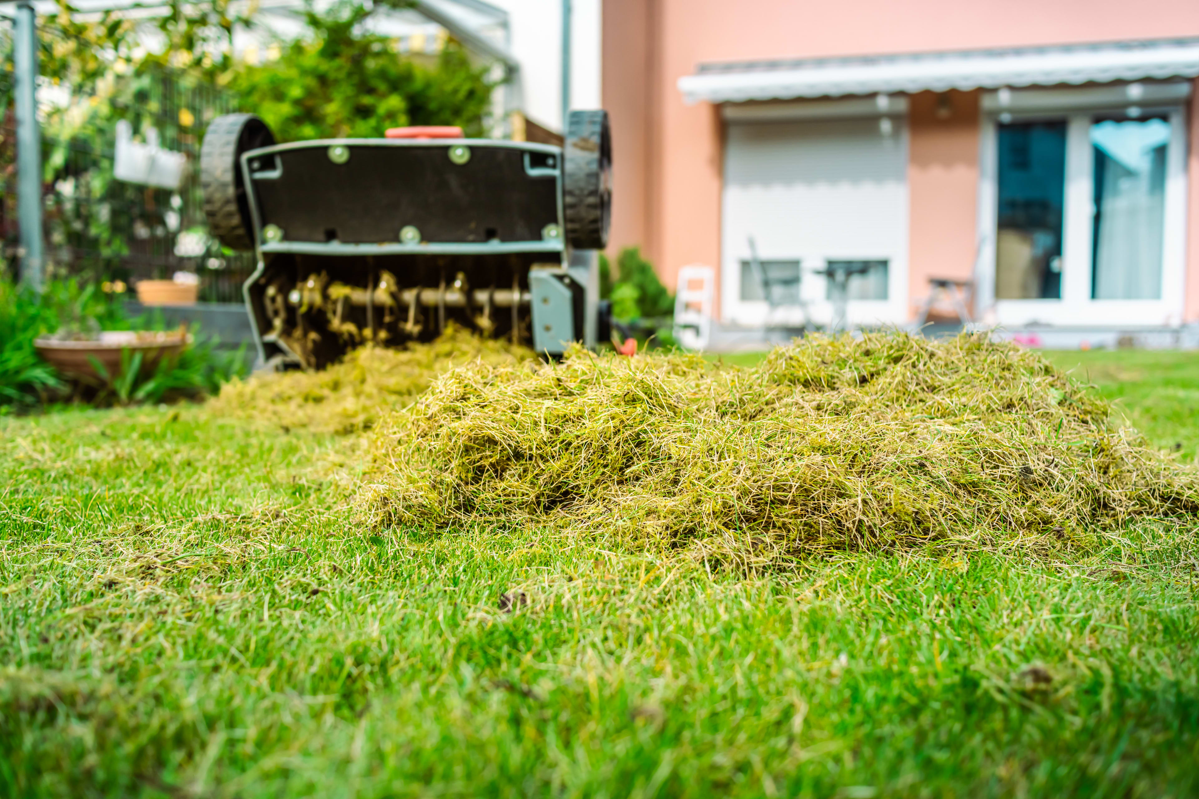 A Guide to Fall Aeration–How, When, and Why to Aerate Your Lawn in Fall ...